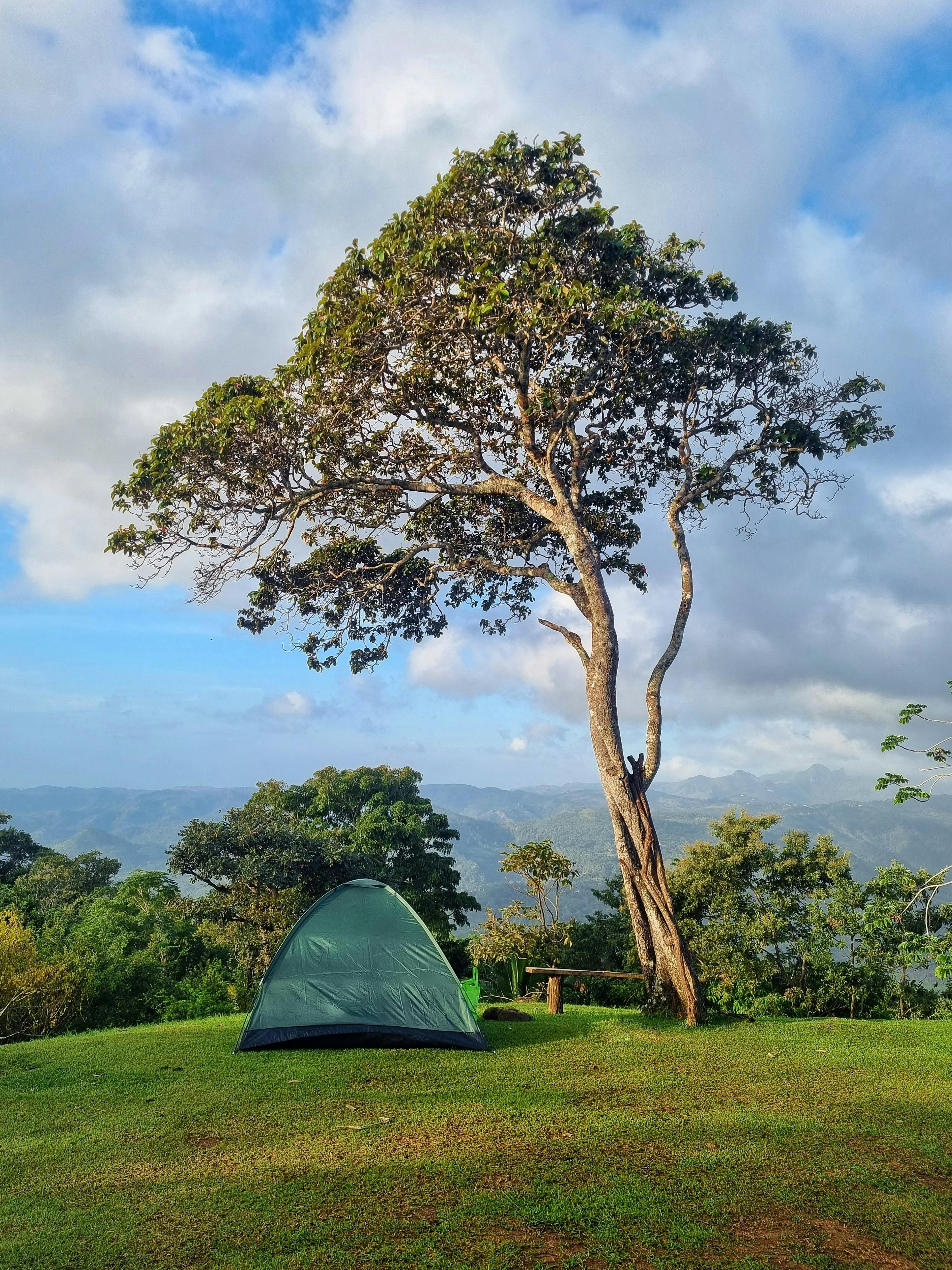 JESH . - Fotografía