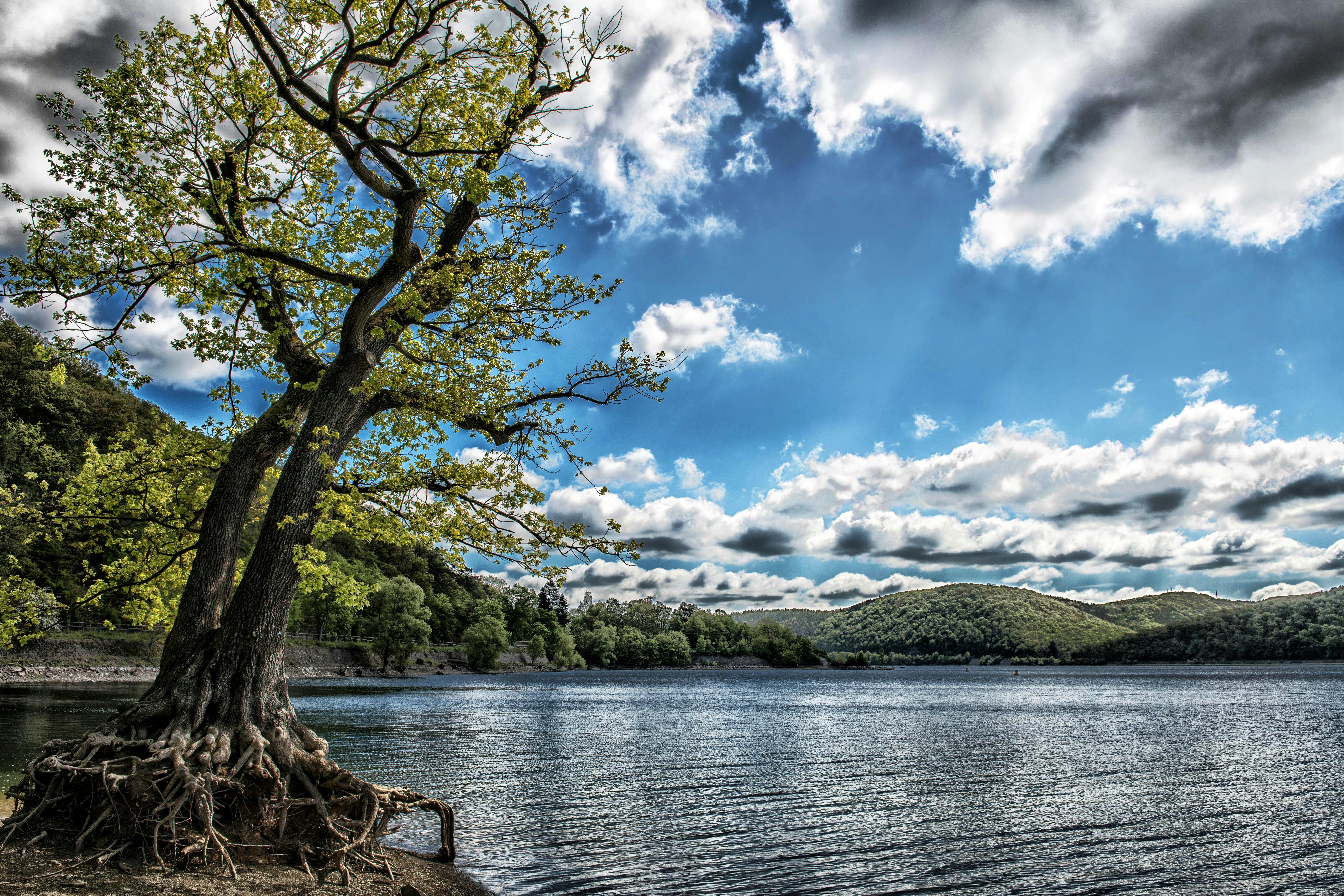 Liefdevol Eder Photos, Download The BEST Free Liefdevol Eder Stock ...