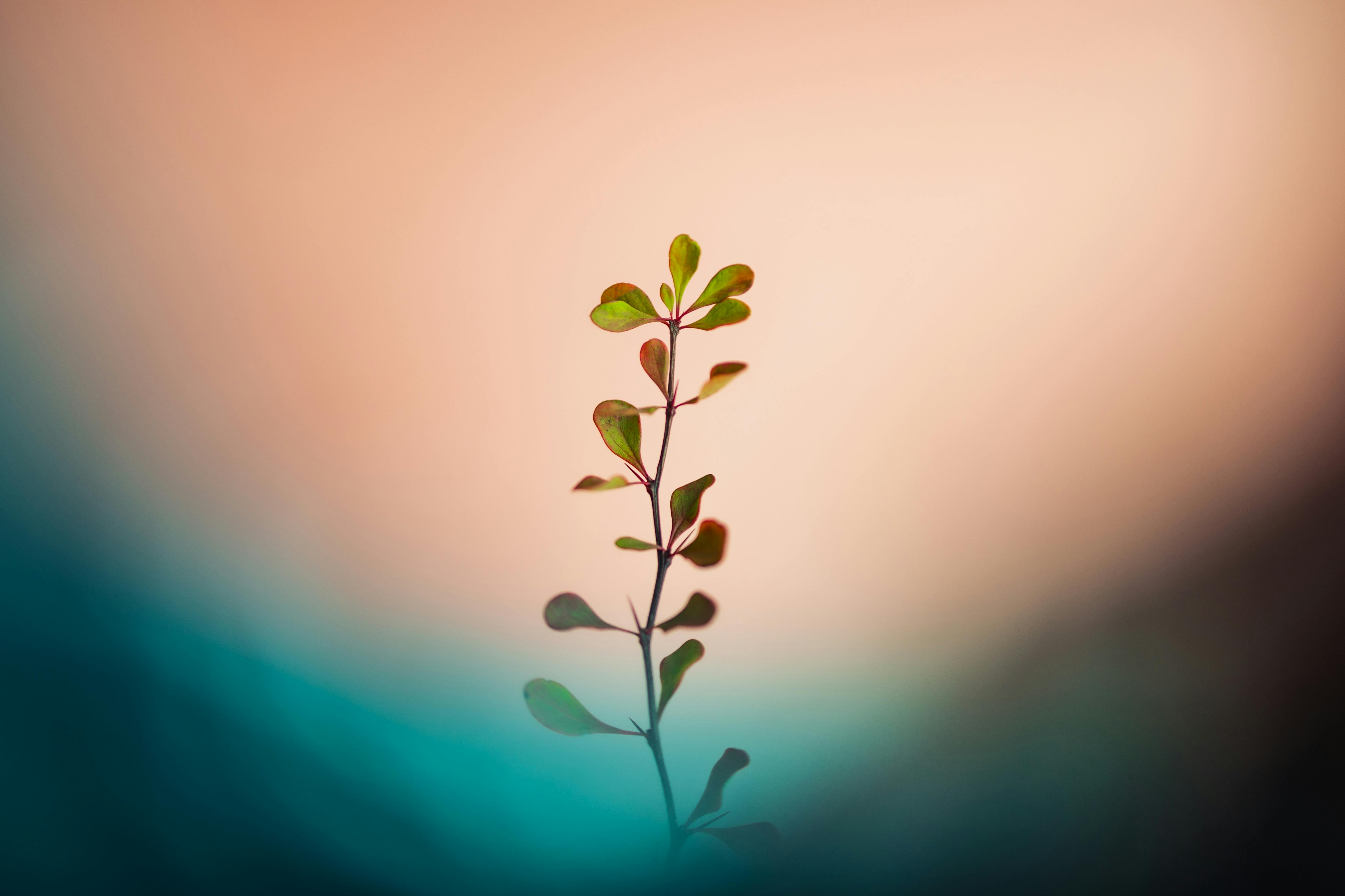 Abstract Red Gradient Photos, Download The BEST Free Abstract Red ...