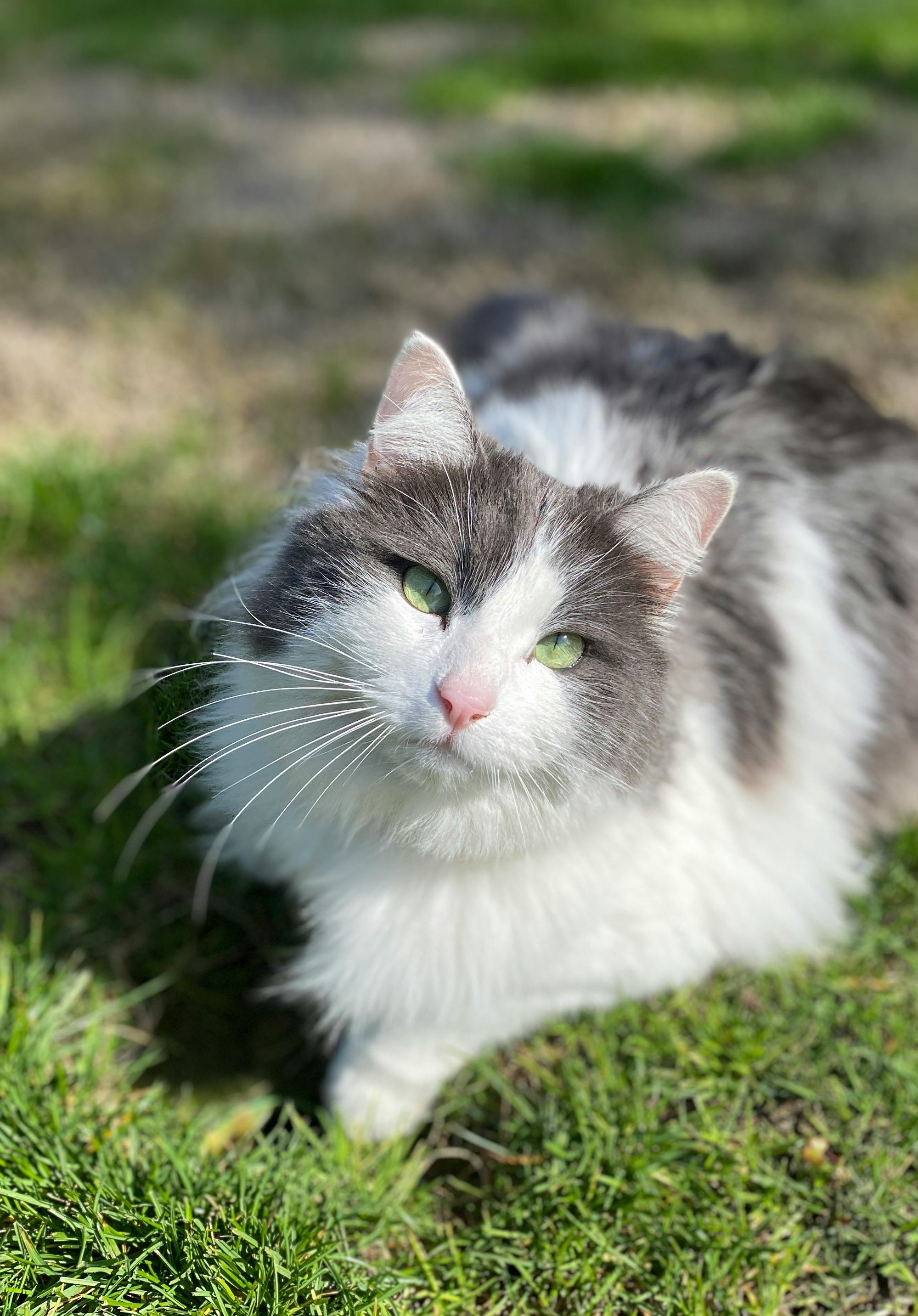 Sun Zoomed In Photos, Download The BEST Free Sun Zoomed In Stock Photos ...