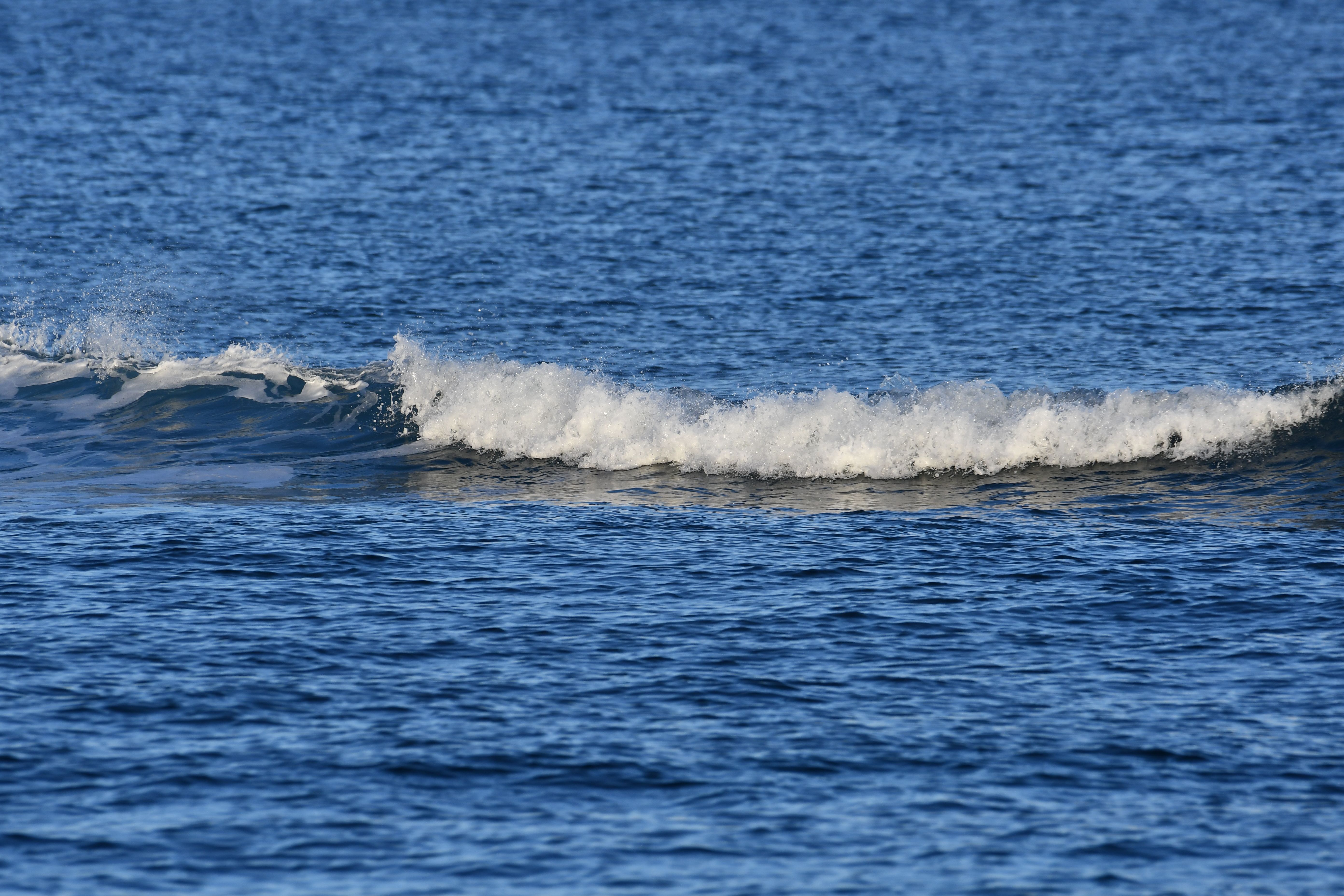 Rolling Rough Foamy Sea Waves · Free Stock Photo