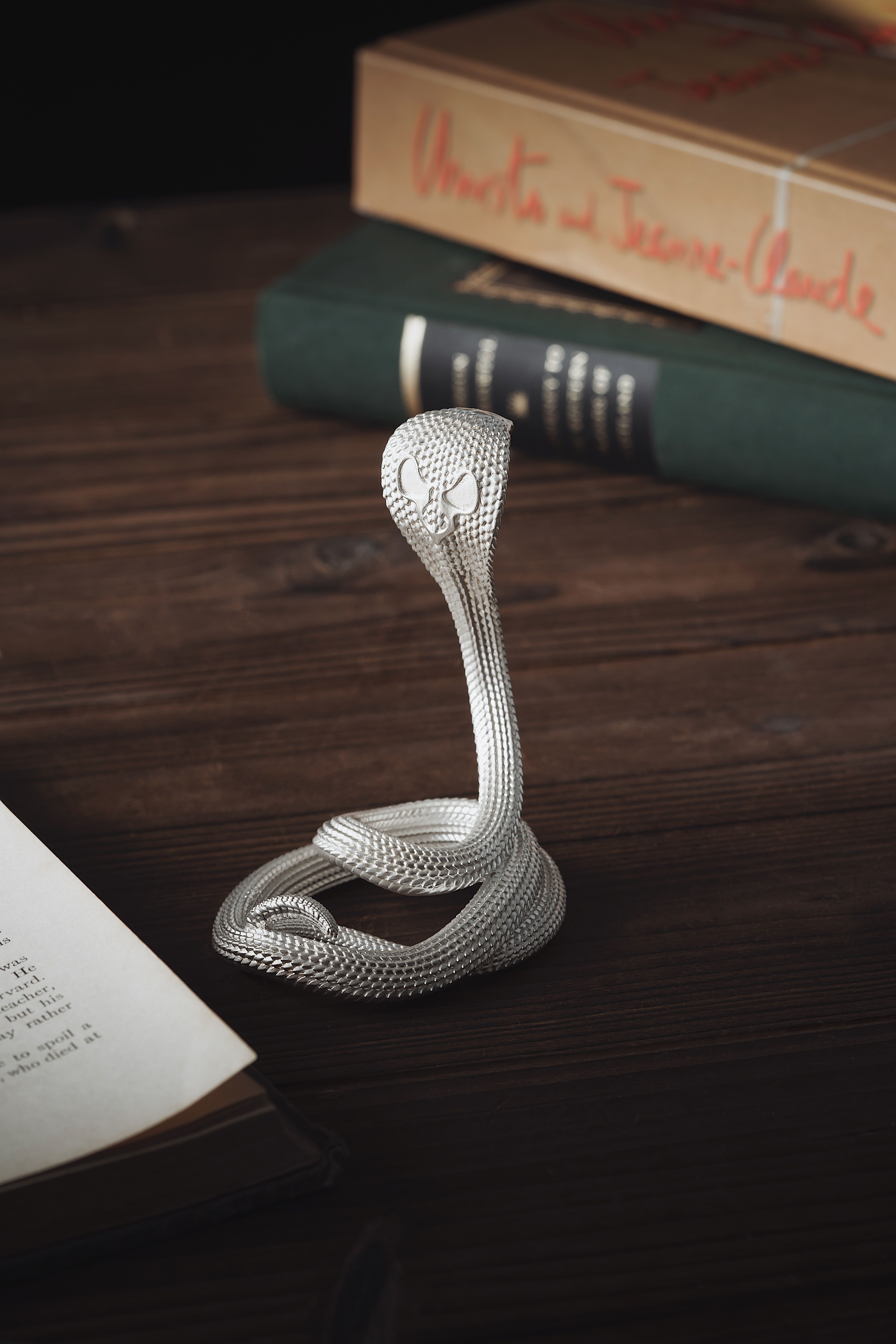 Close-up of a Cobra Phone Stand Standing on a Desk · Free Stock Photo