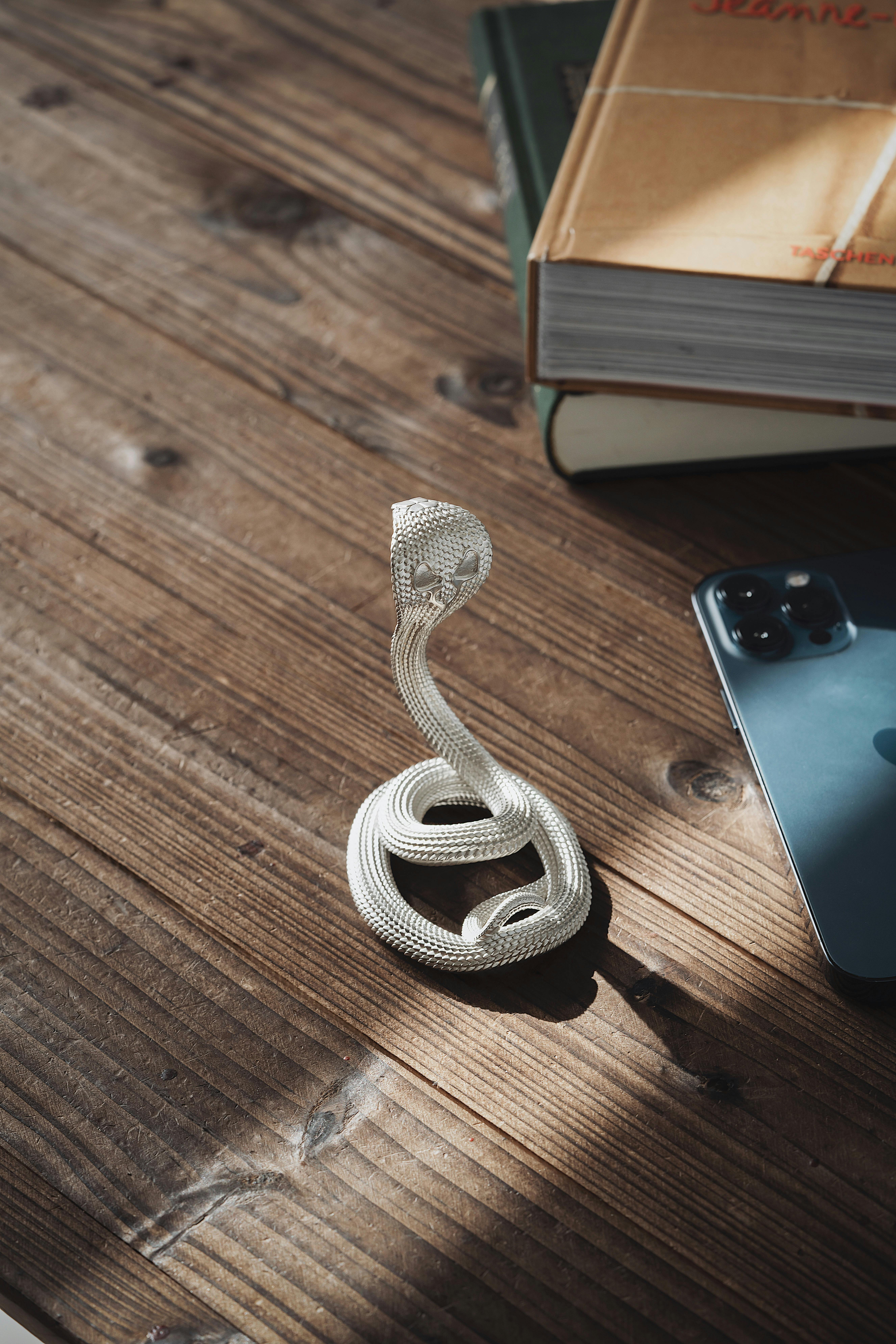 Close-up of a Cobra Phone Stand Standing on a Desk · Free Stock Photo