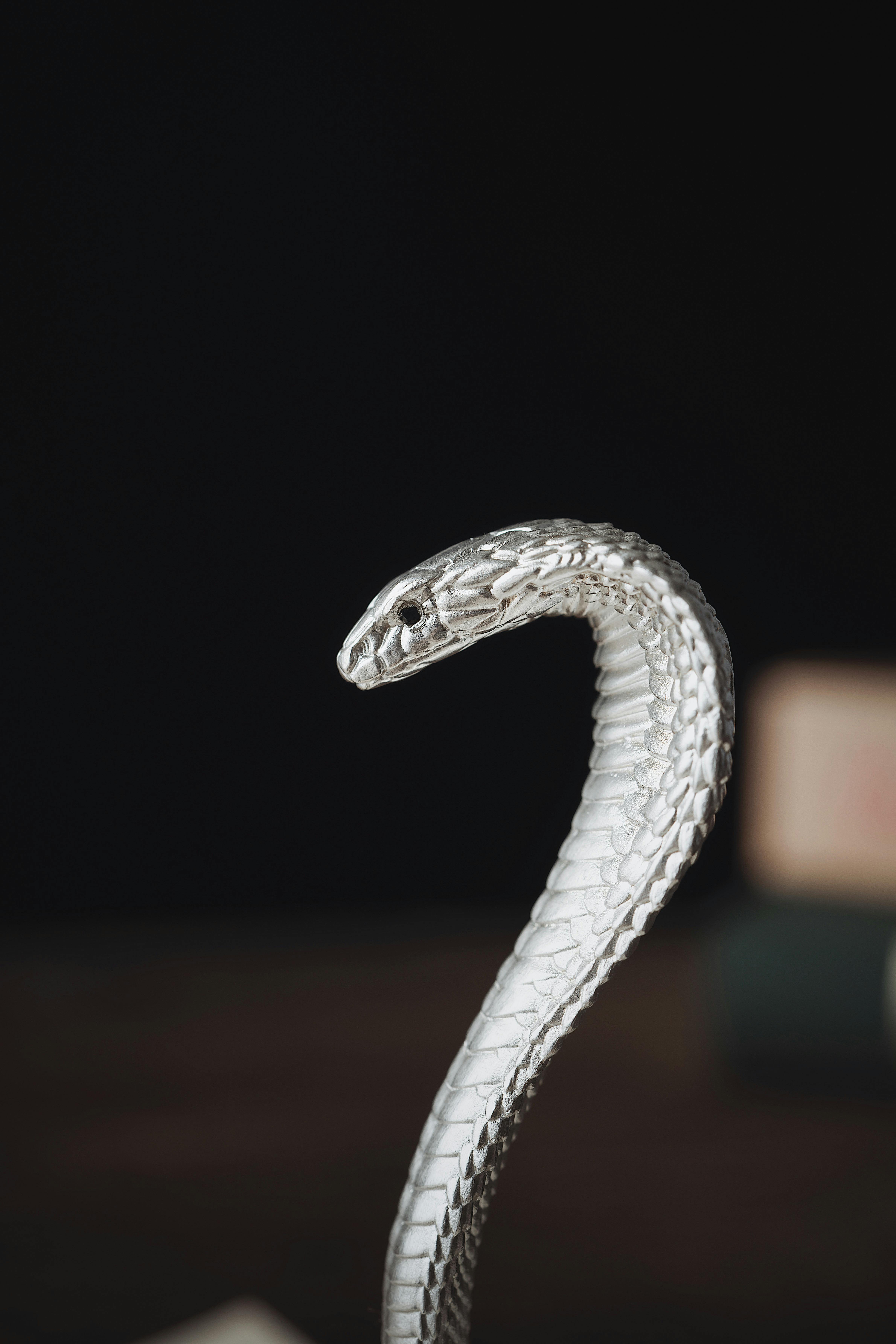 Cobra Shape Photos, Download The BEST Free Cobra Shape Stock Photos ...