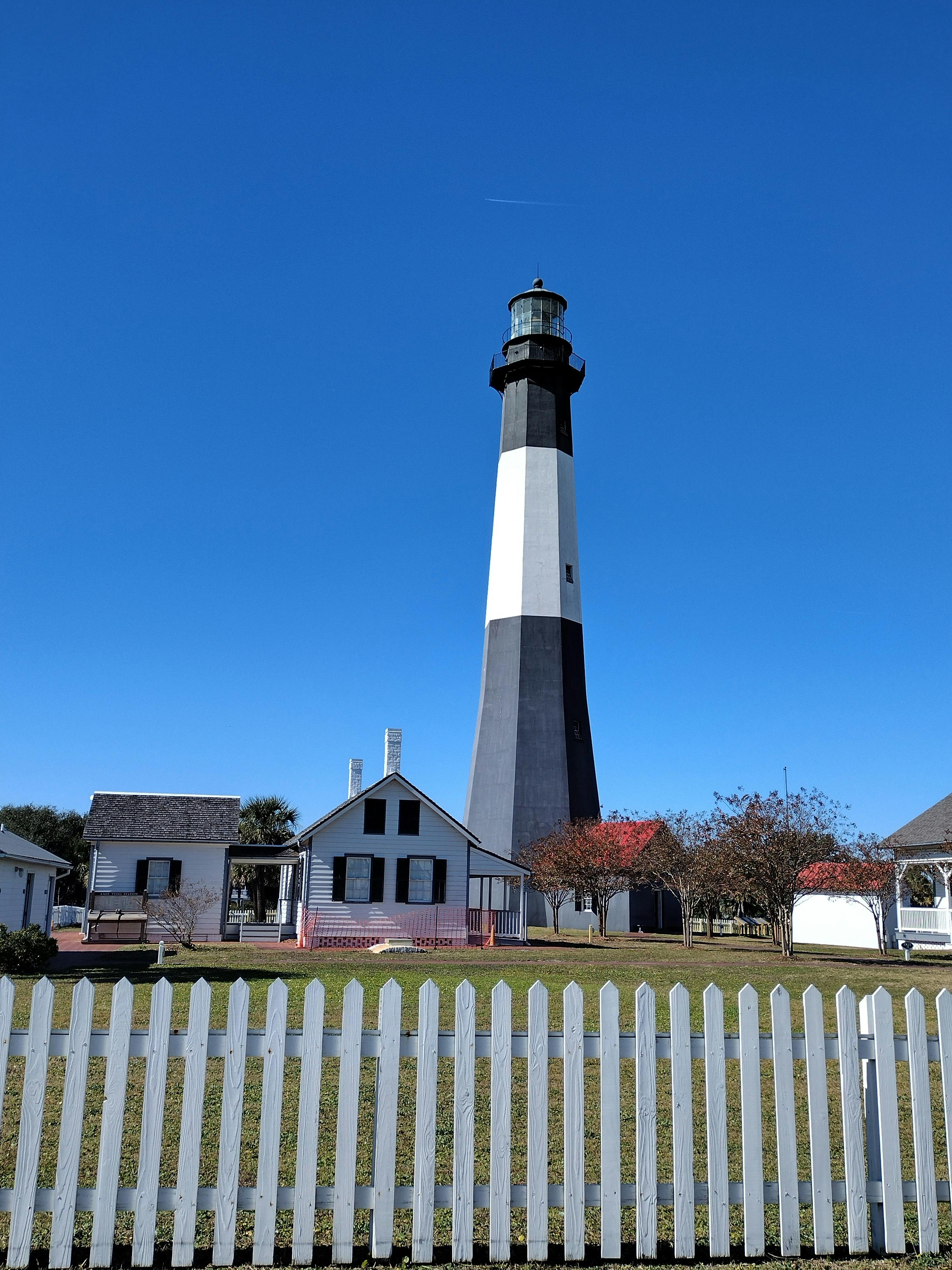 Tybee Hasj Photos, Download The BEST Free Tybee Hasj Stock Photos & HD ...