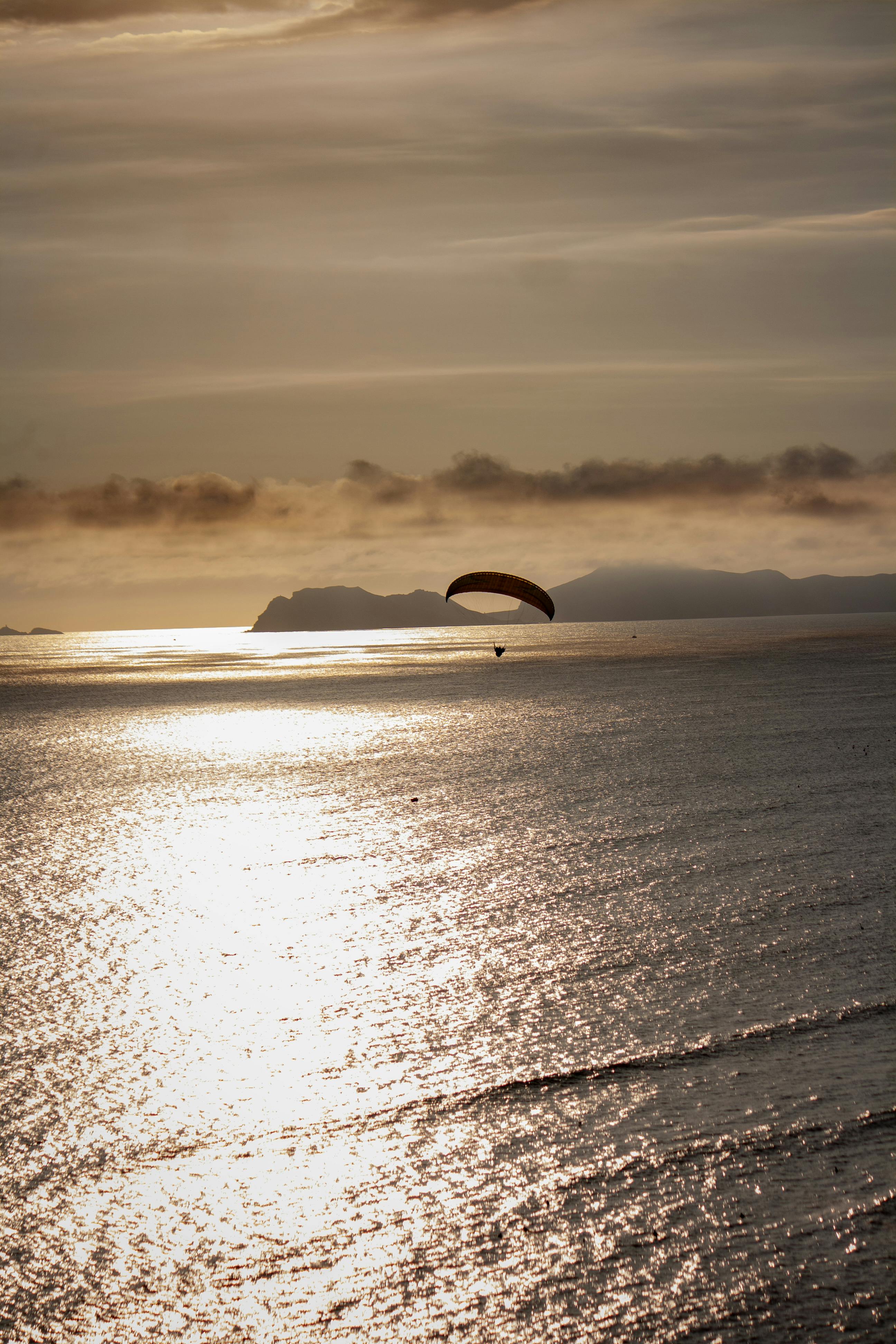 Parachuting over Forest · Free Stock Photo
