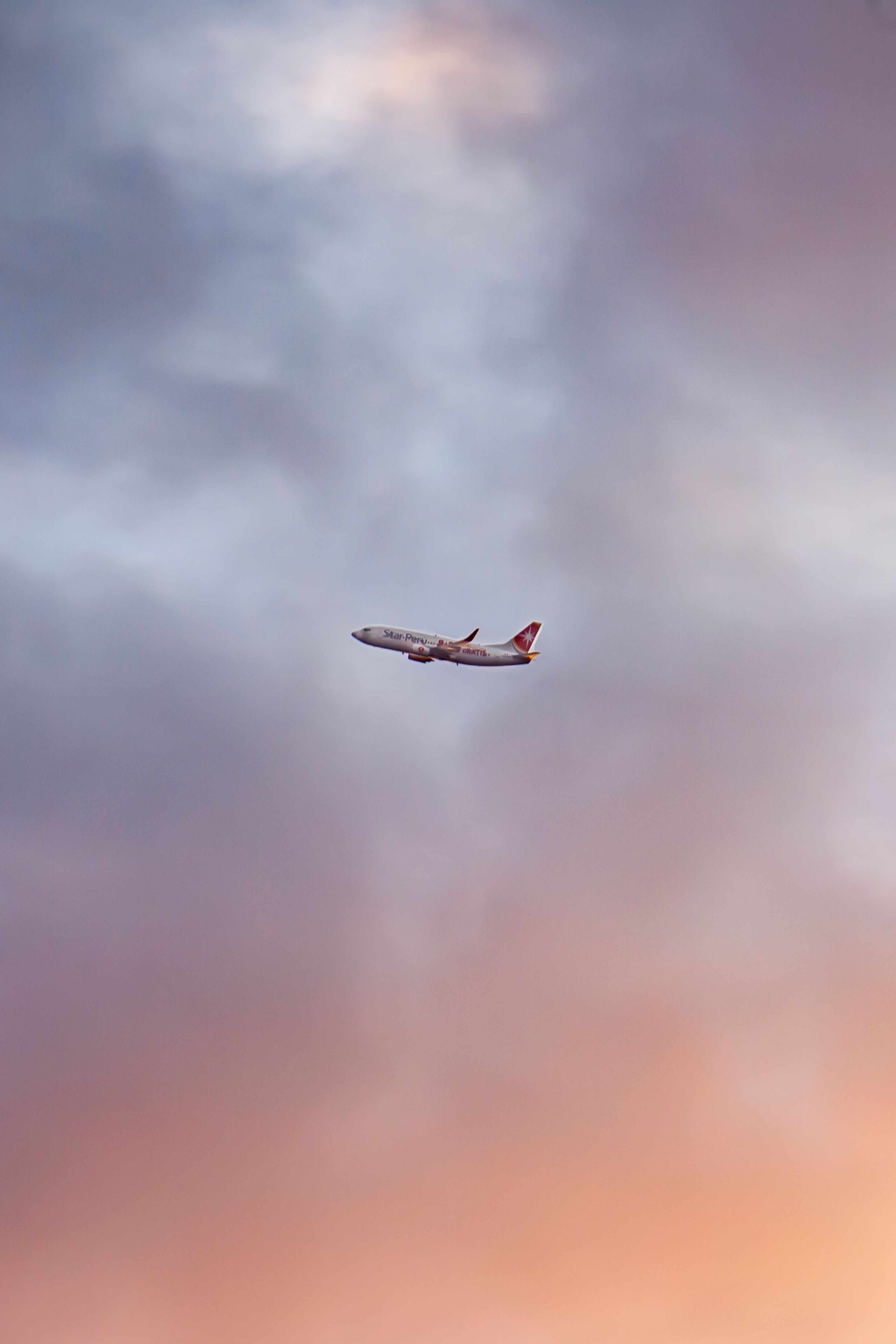 Birds Flying under Clouds at Sunset · Free Stock Photo