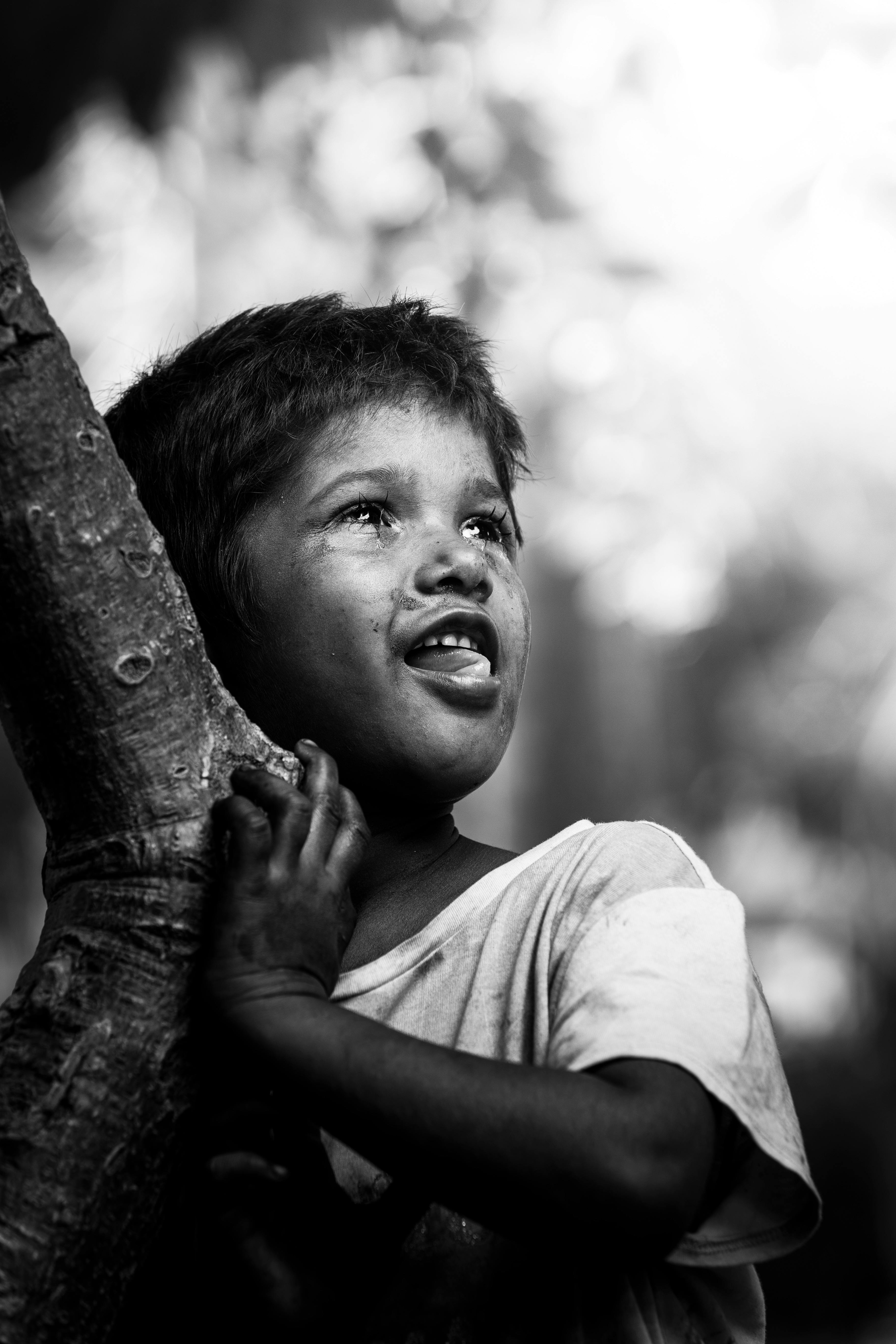Photo of a Boy Posing next to a Tree Trunk · Free Stock Photo