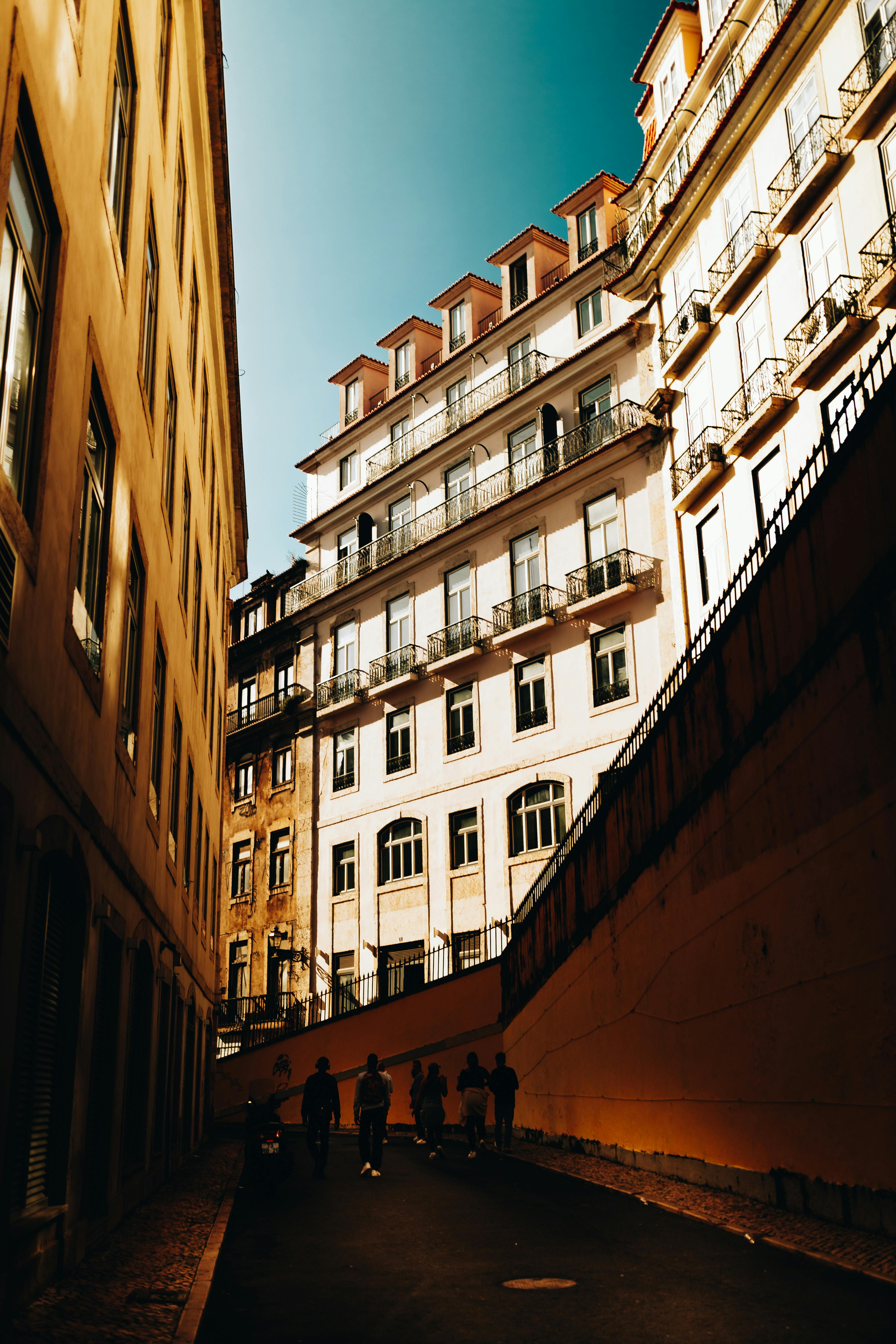 Man Walking on Pavement among Trees · Free Stock Photo