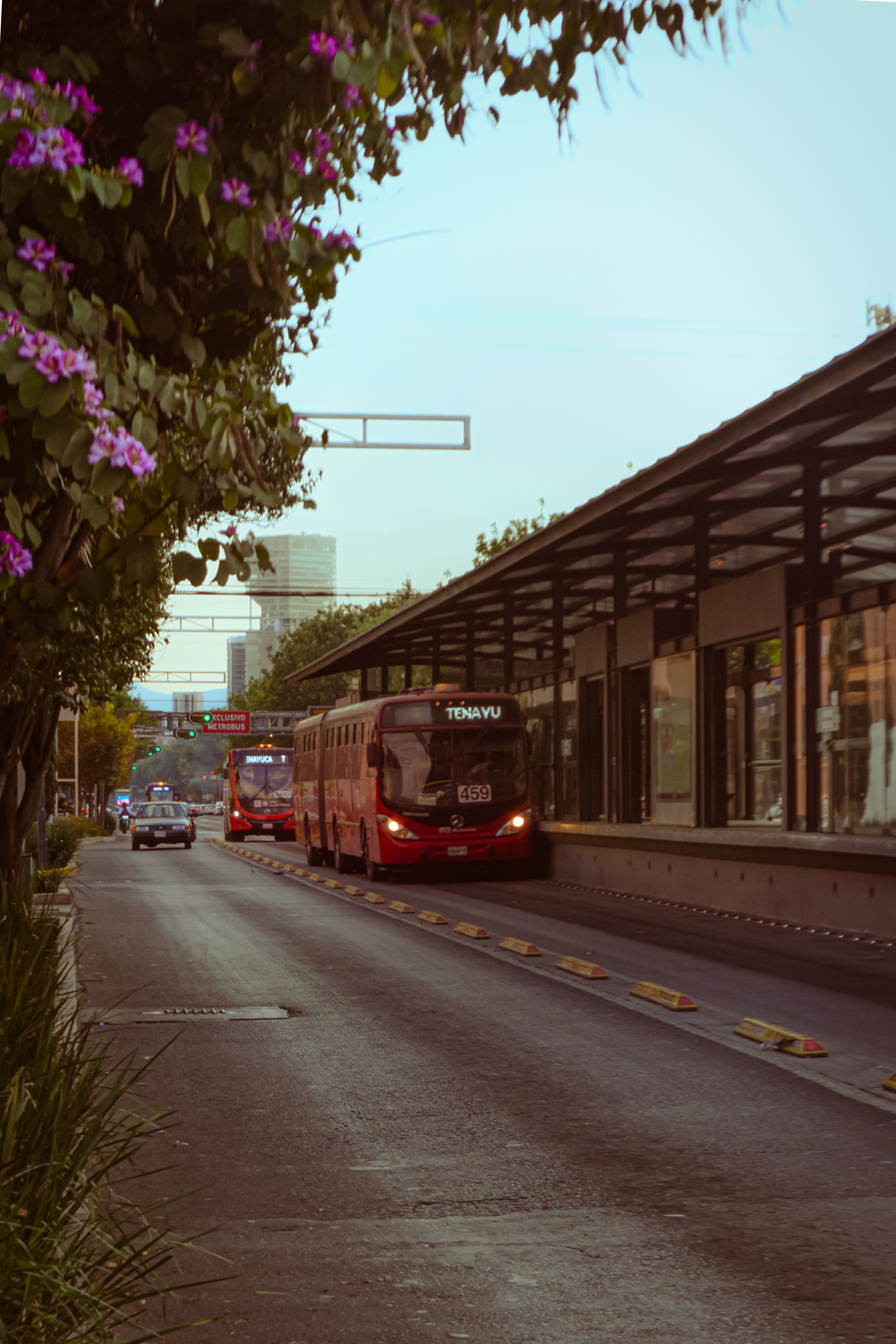 Bus near Building · Free Stock Photo