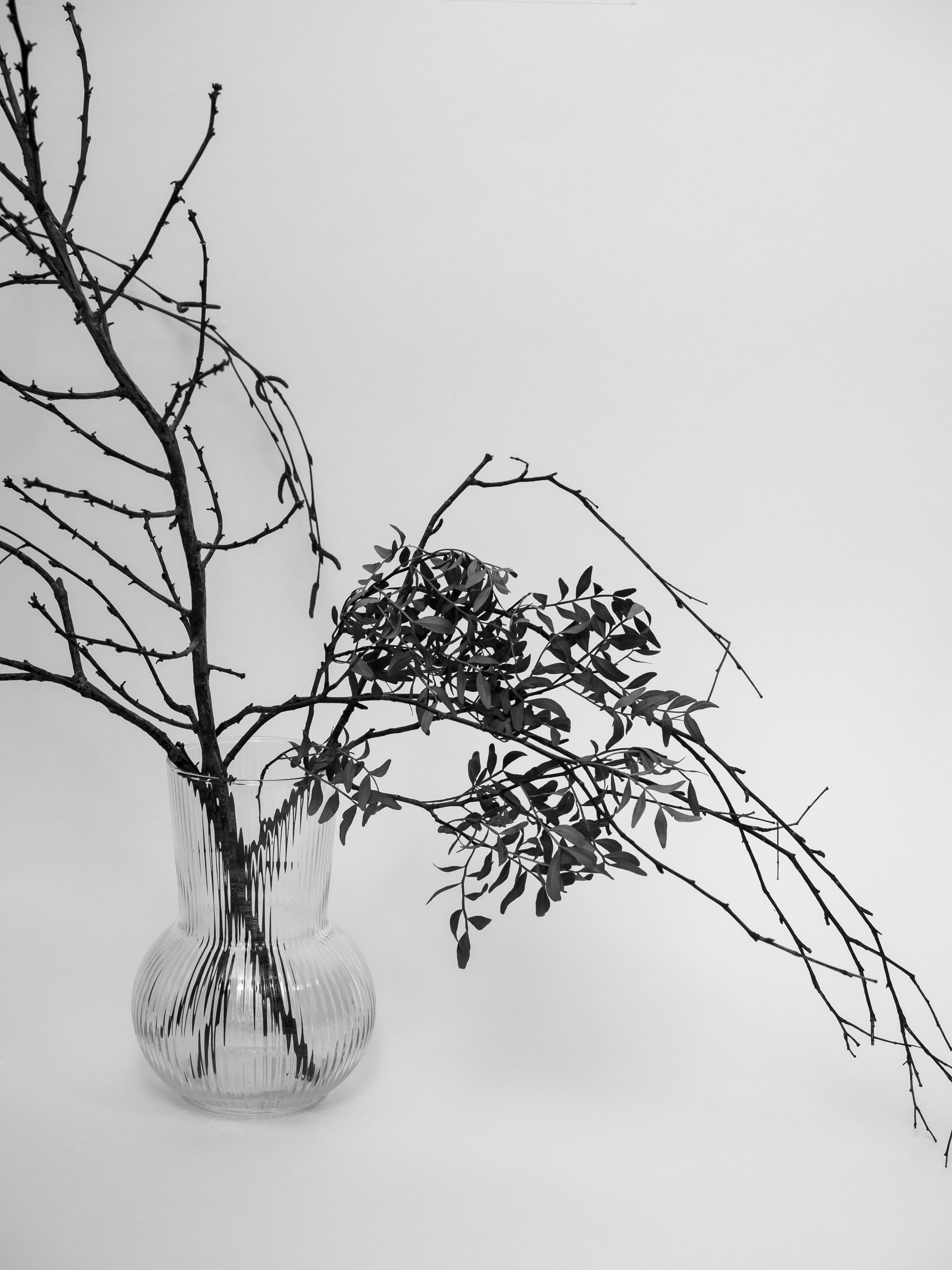 Fracture Vase Photos, Download The BEST Free Fracture Vase Stock Photos ...