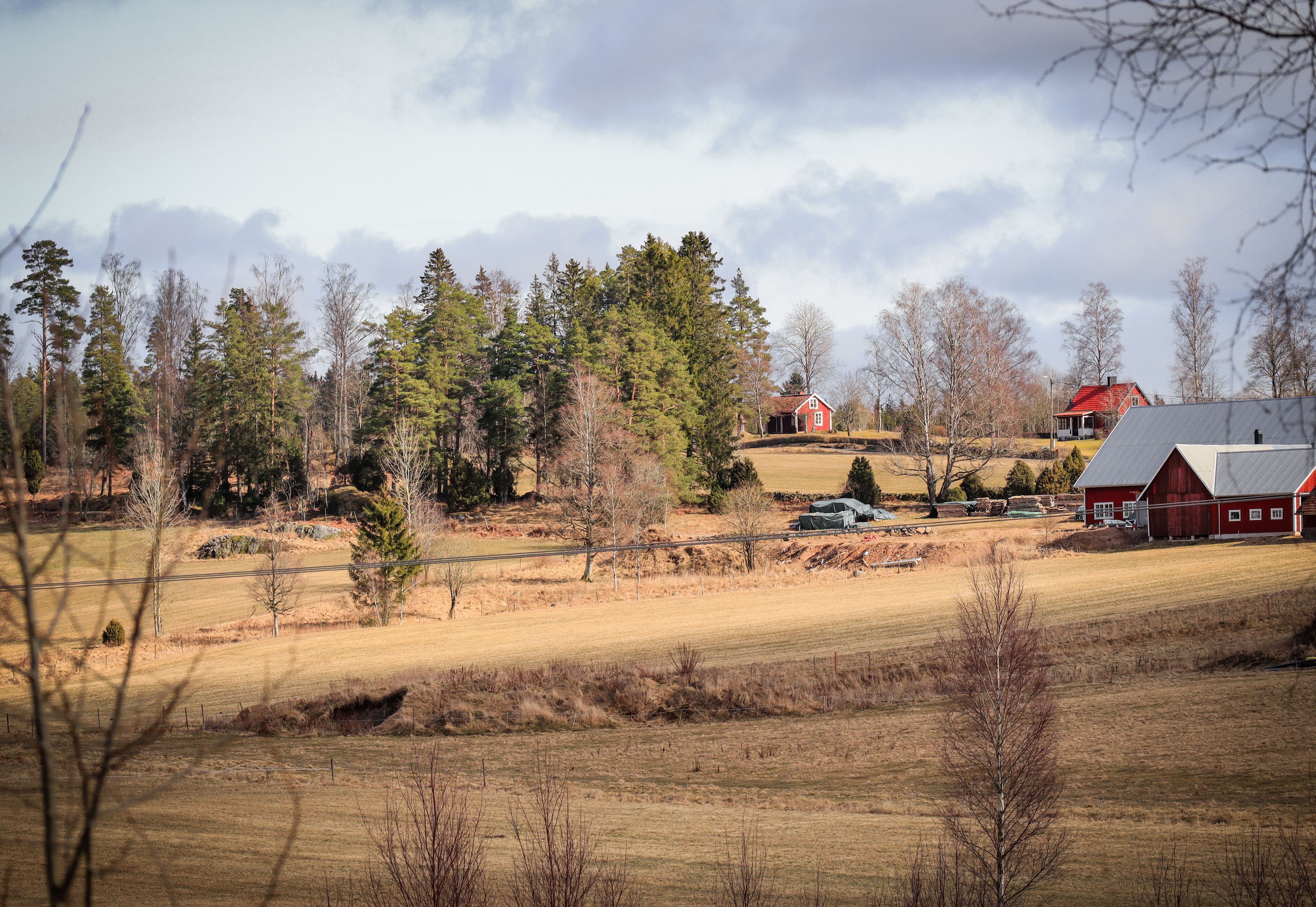 Landscape of a Countryside · Free Stock Photo
