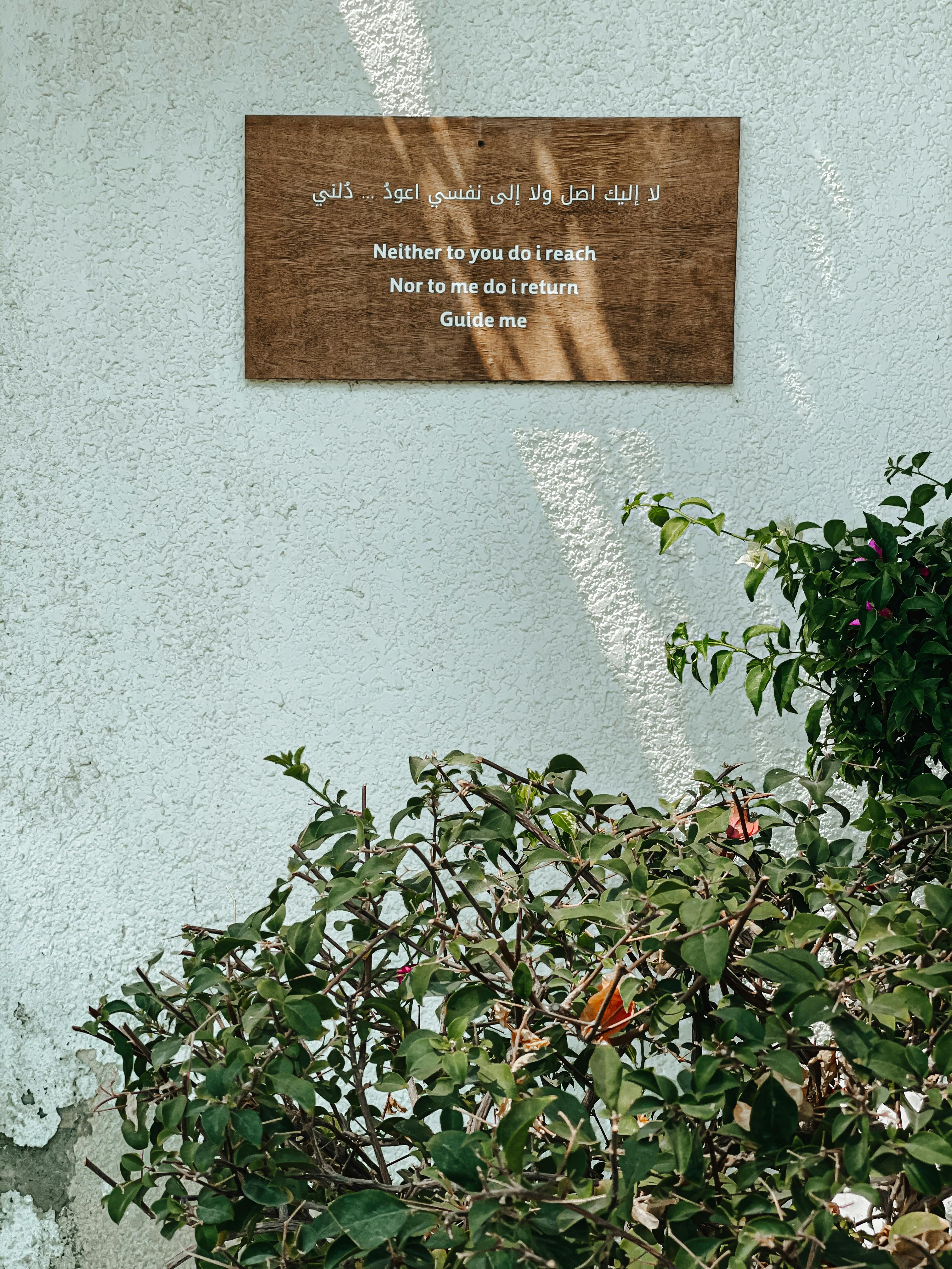 Text on Board on Wall · Free Stock Photo