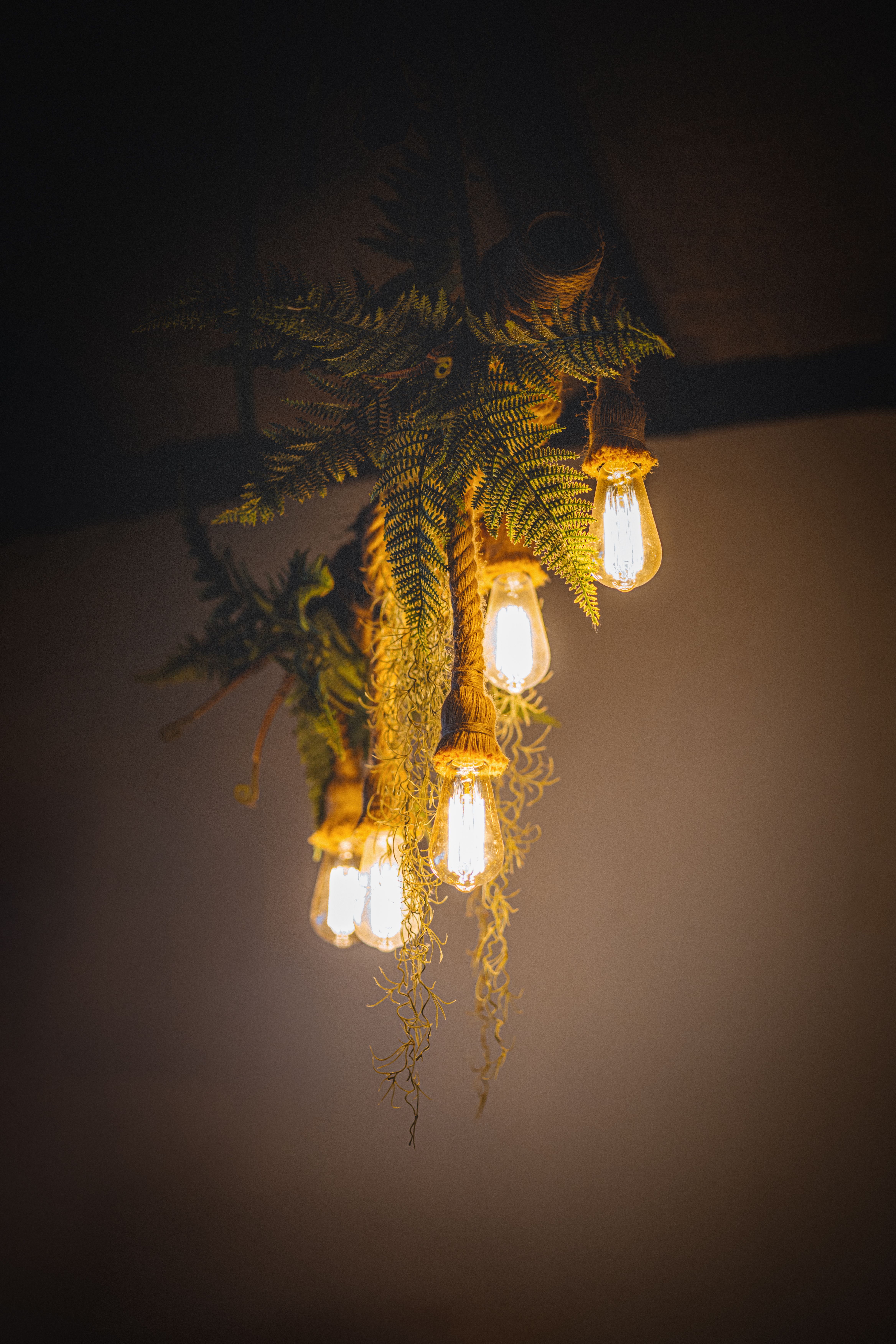 Decorative Lamp with Fern Leaves · Free Stock Photo