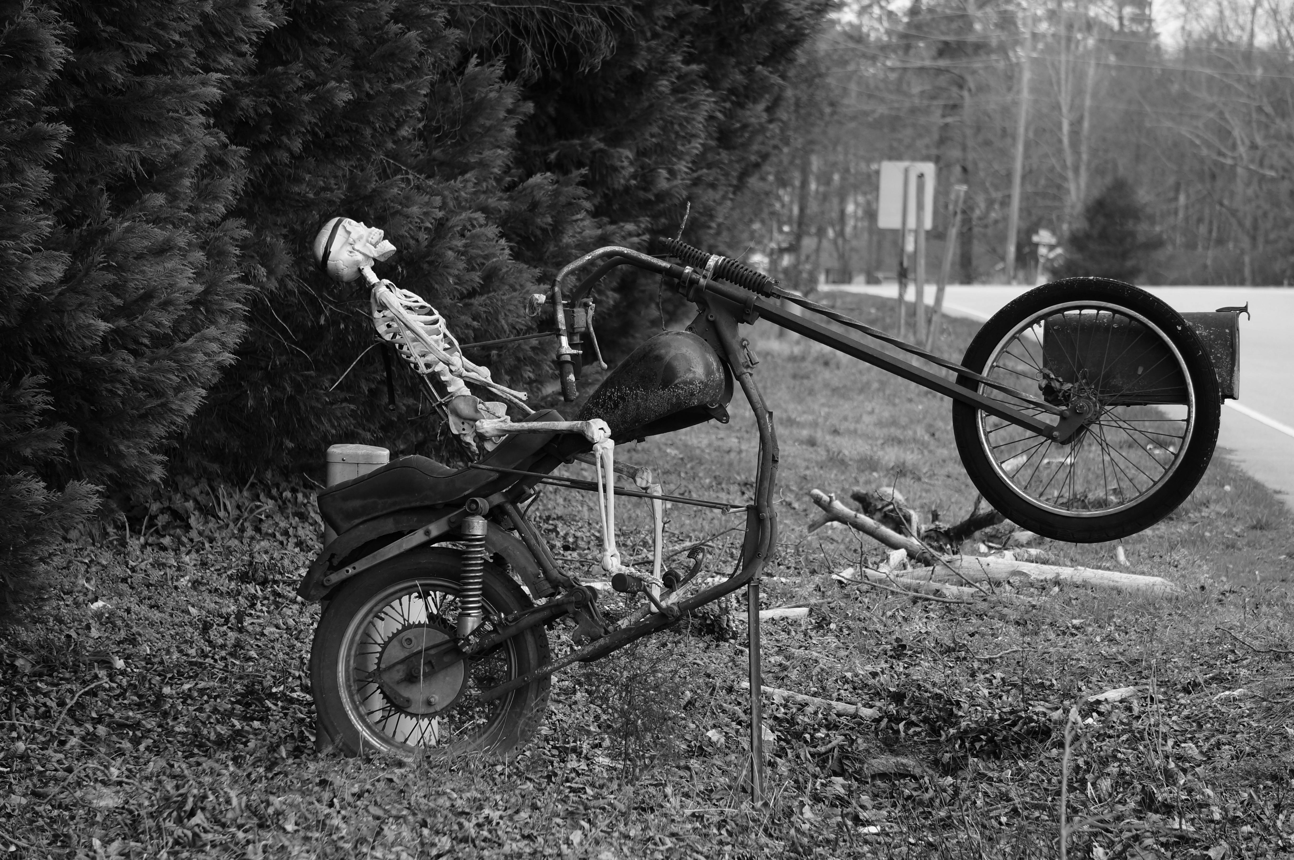 Skeleton Wallpaper Photos, Download The BEST Free Skeleton Wallpaper ...