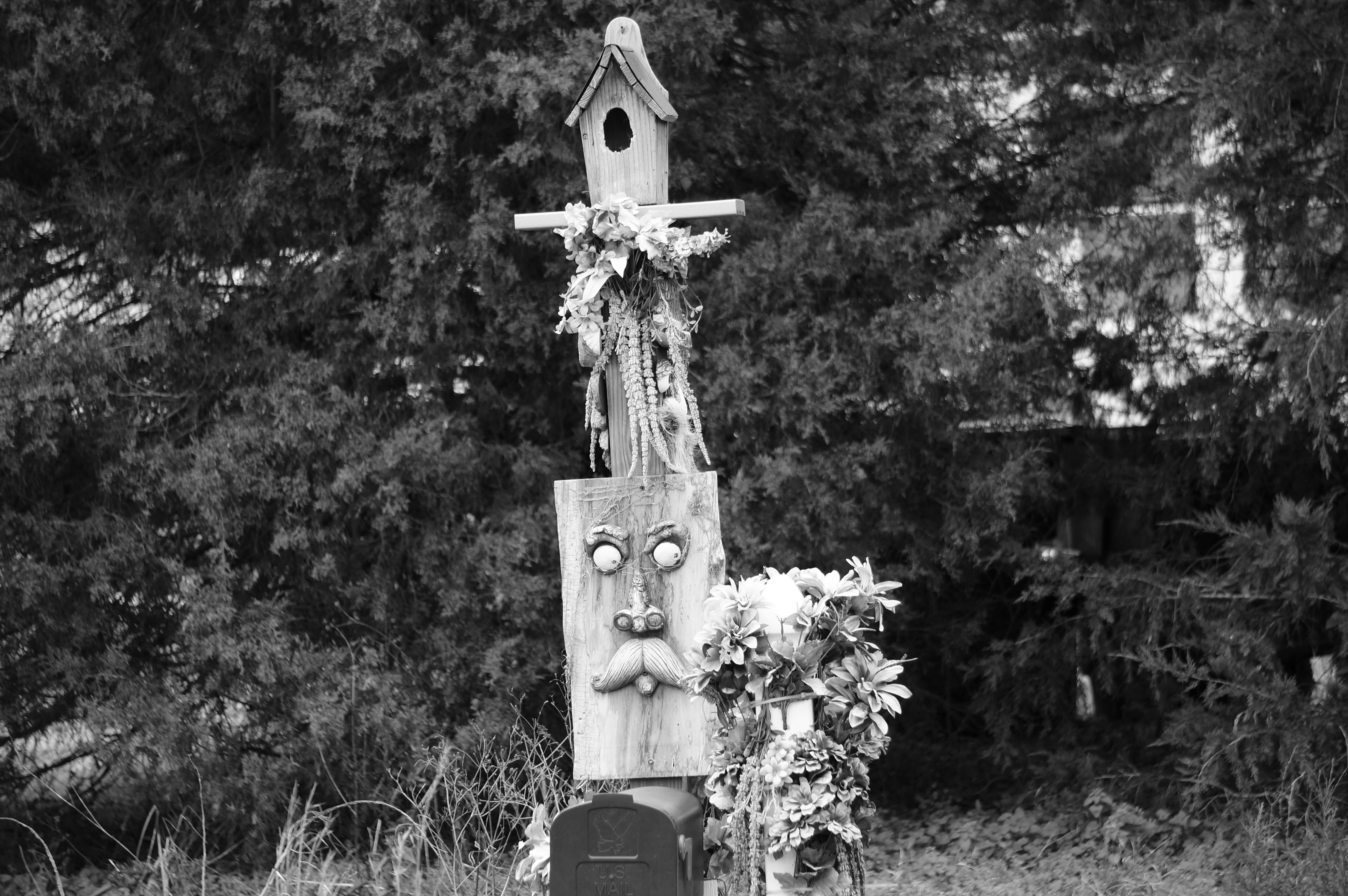 Tony Rogers – Fotografie