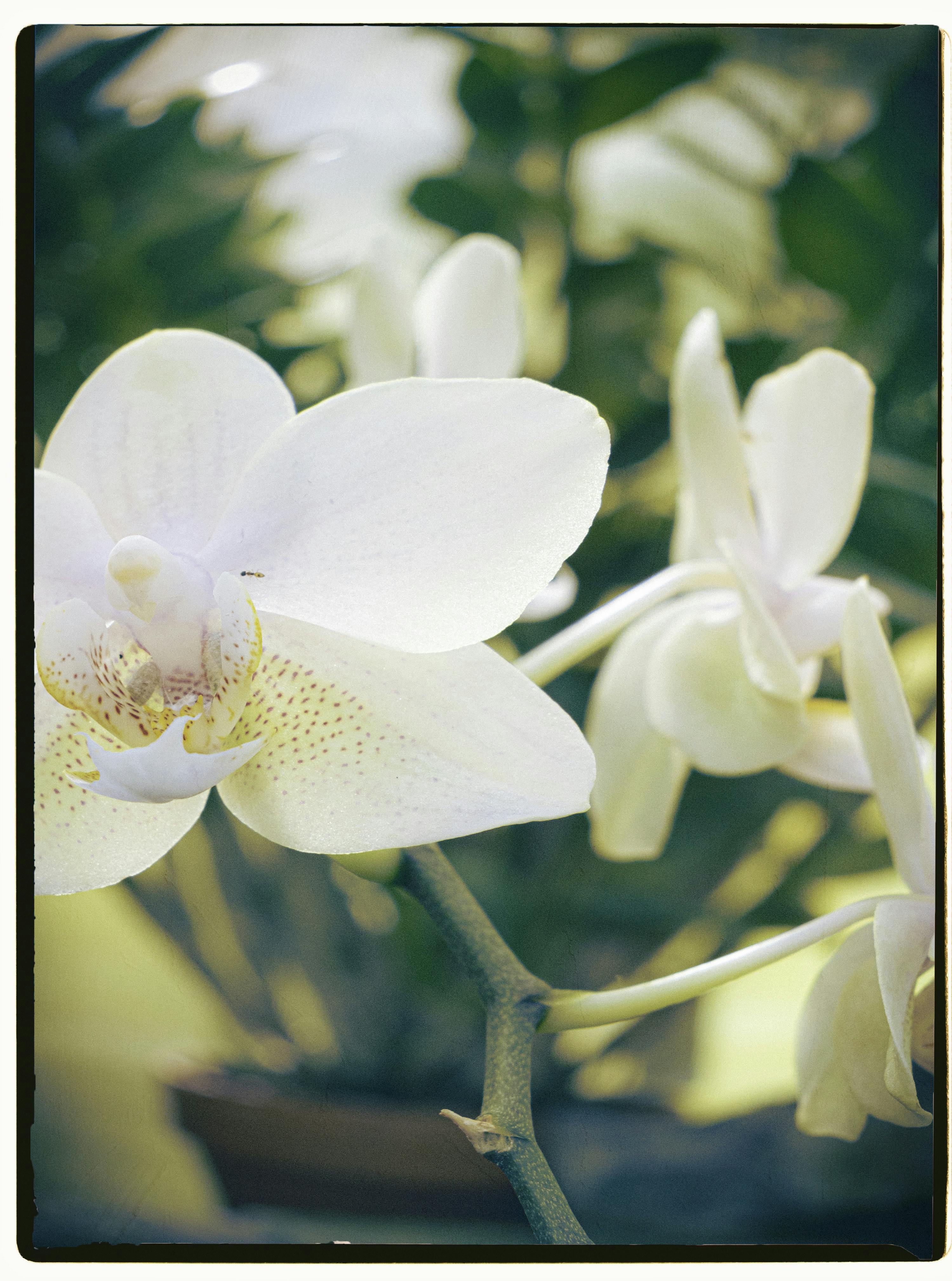 Android Wallpapers Photos, Download The BEST Free Android Wallpapers ...