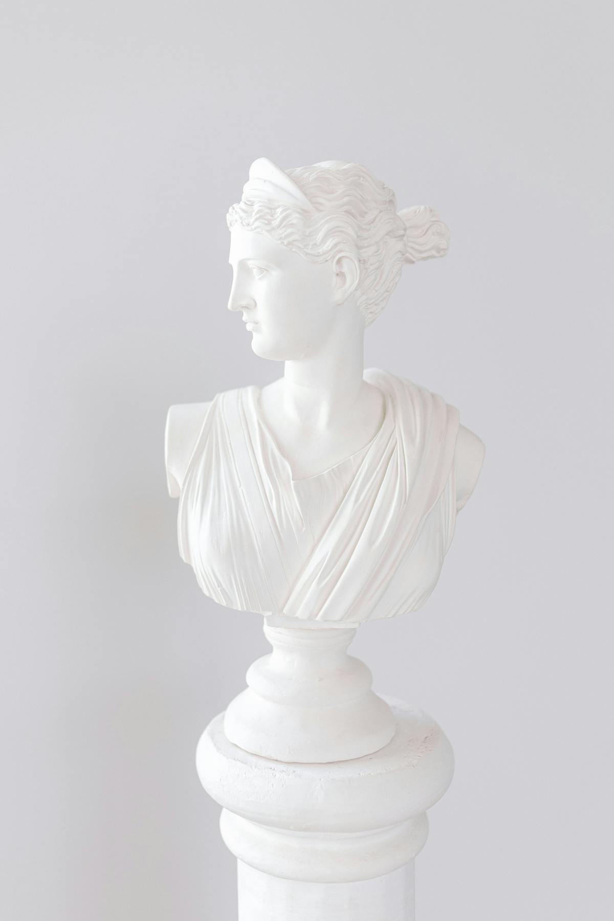 Museum Bust Photos, Download The BEST Free Museum Bust Stock Photos ...