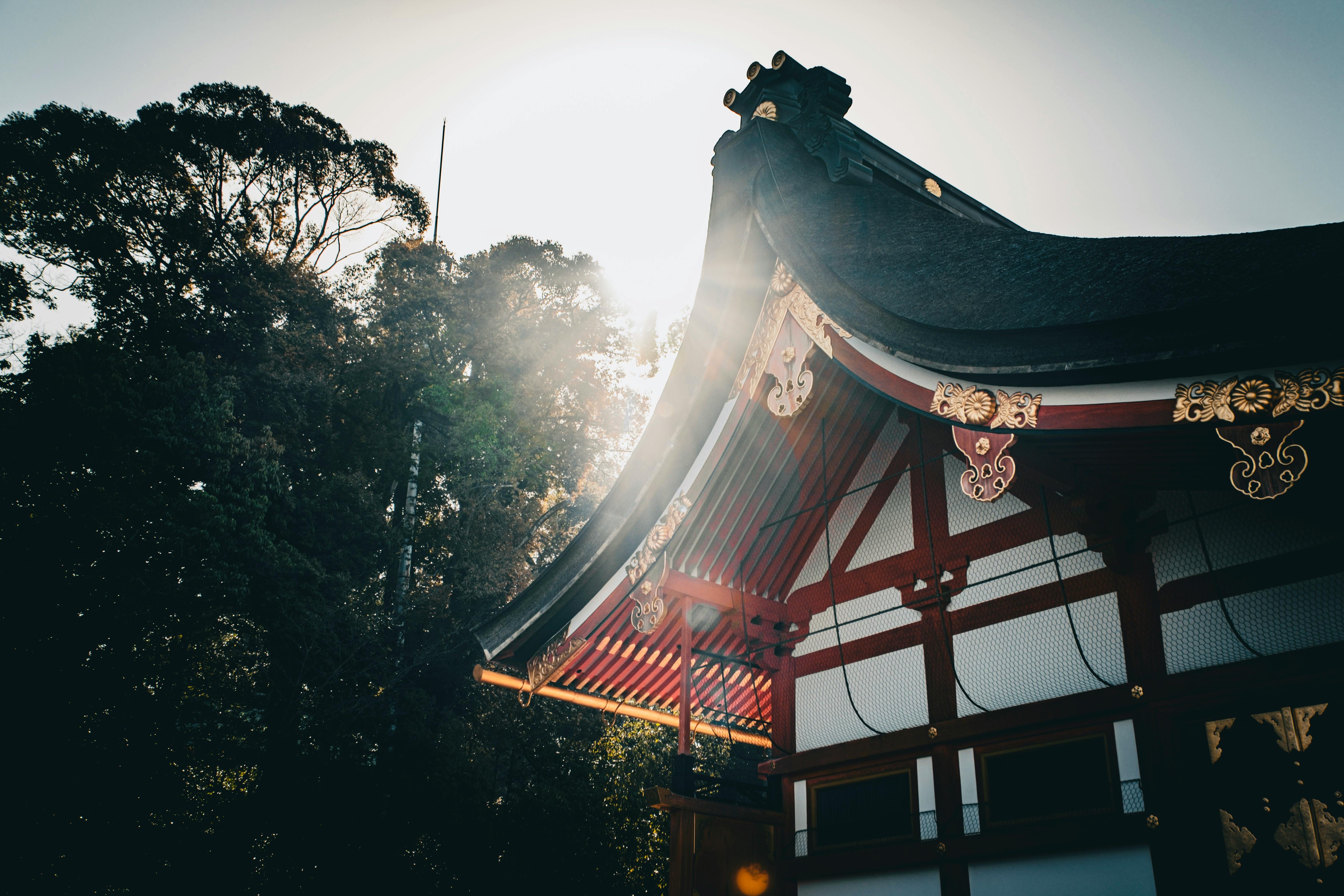 Gray Temple View · Free Stock Photo