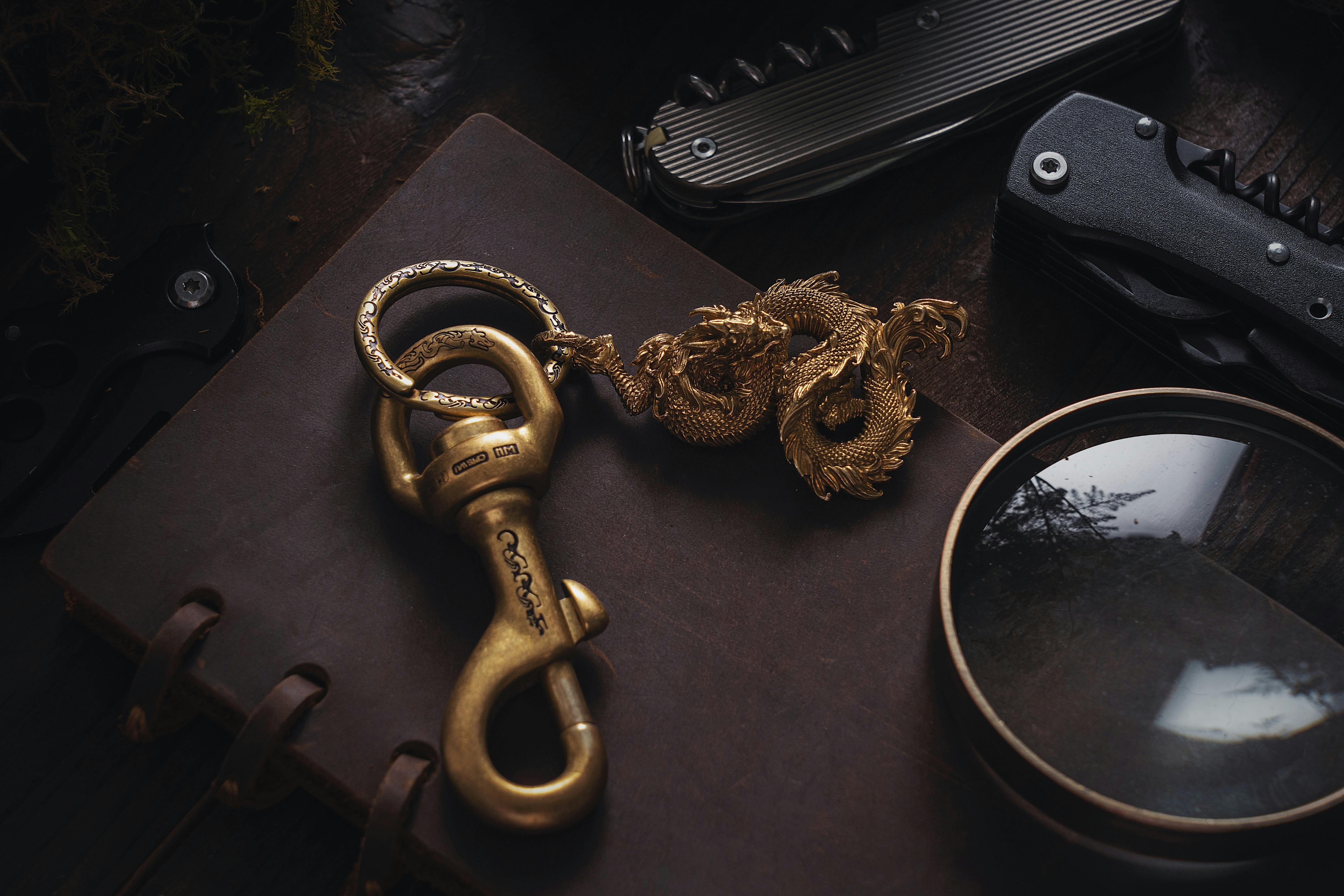 Magnified Photos, Download The BEST Free Magnified Stock Photos & HD Images