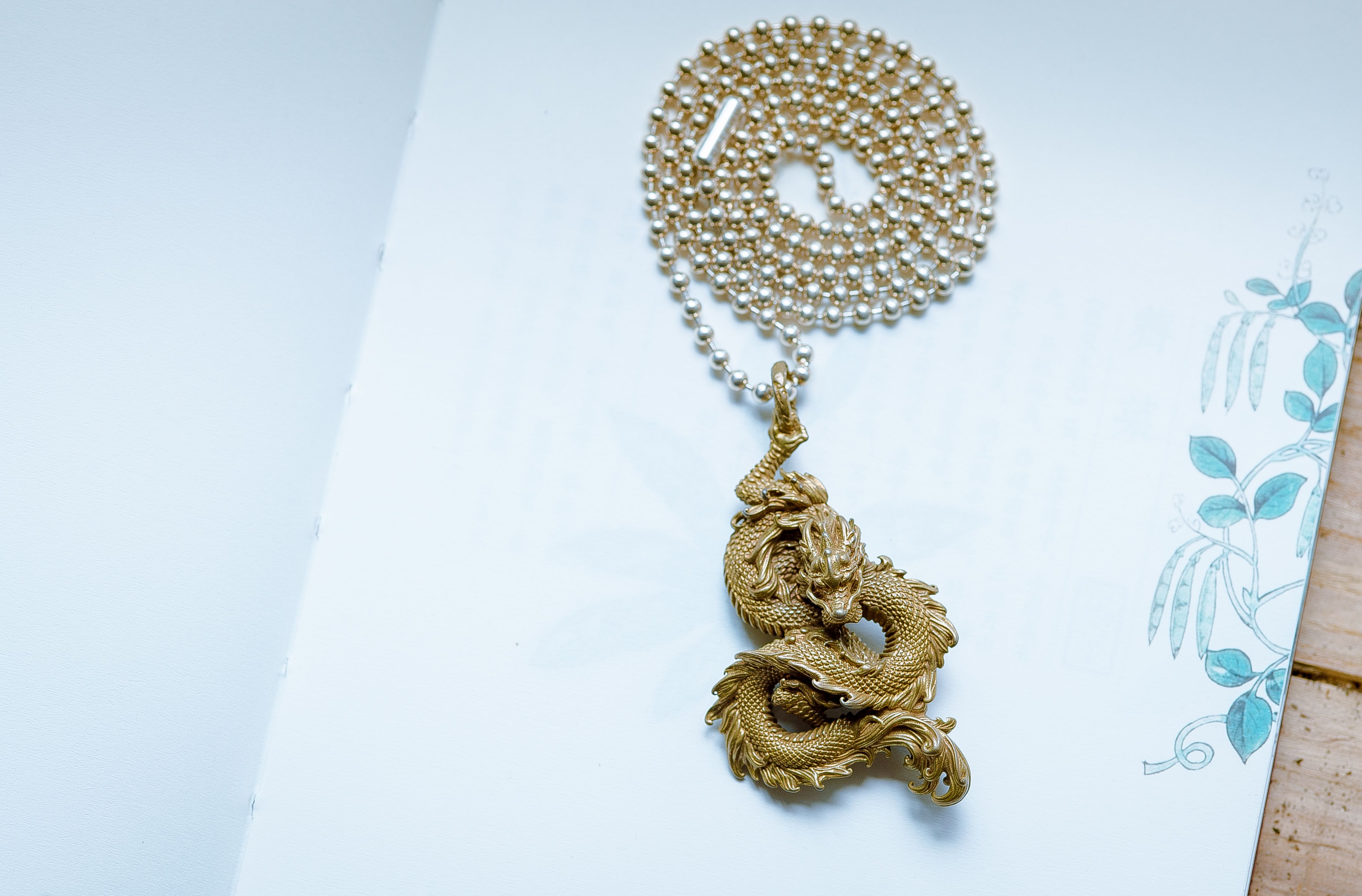 Chain with Dragon Pendant · Free Stock Photo
