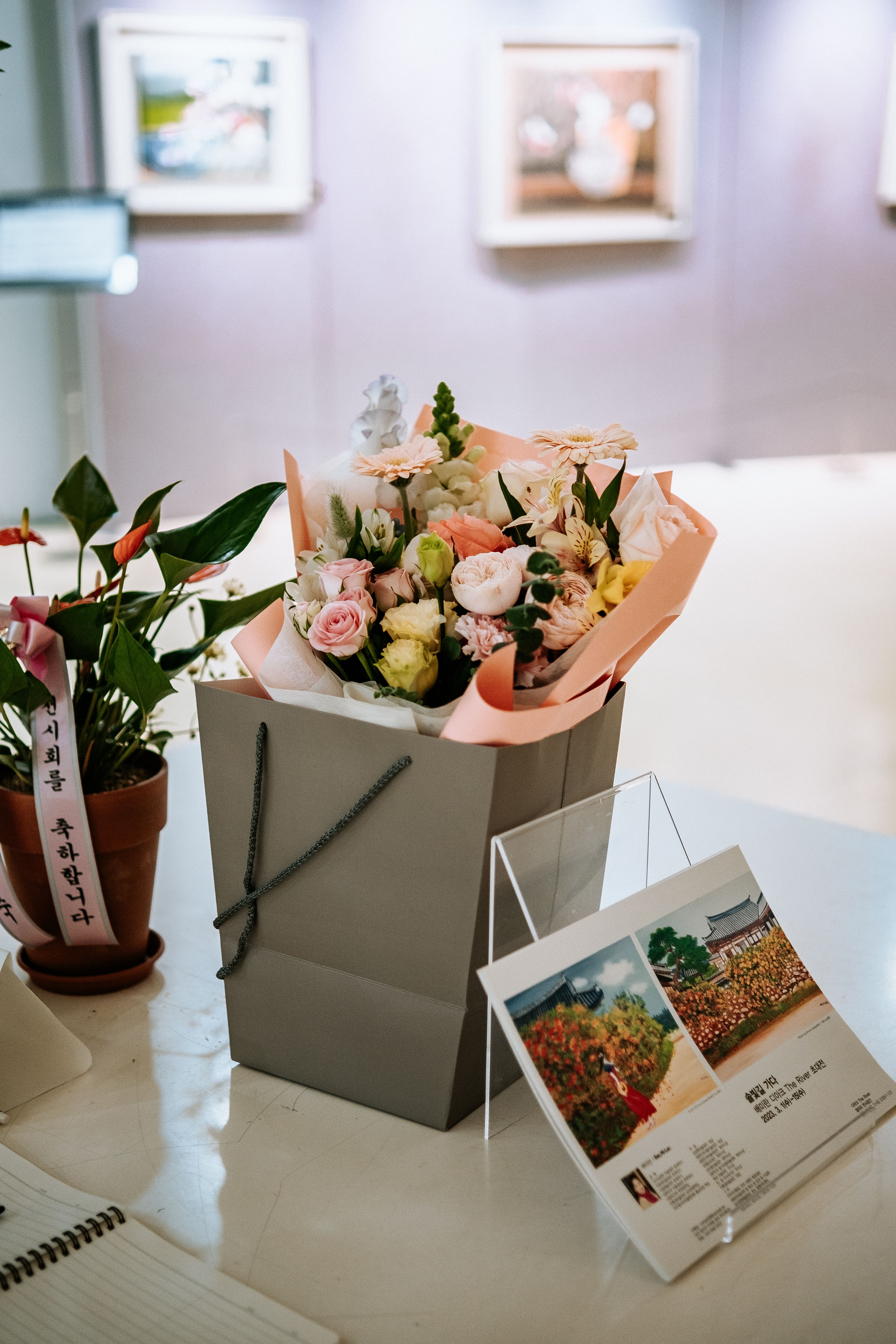 Flowers in a Gift Bag on the Reception Desk Counter · Free Stock Photo