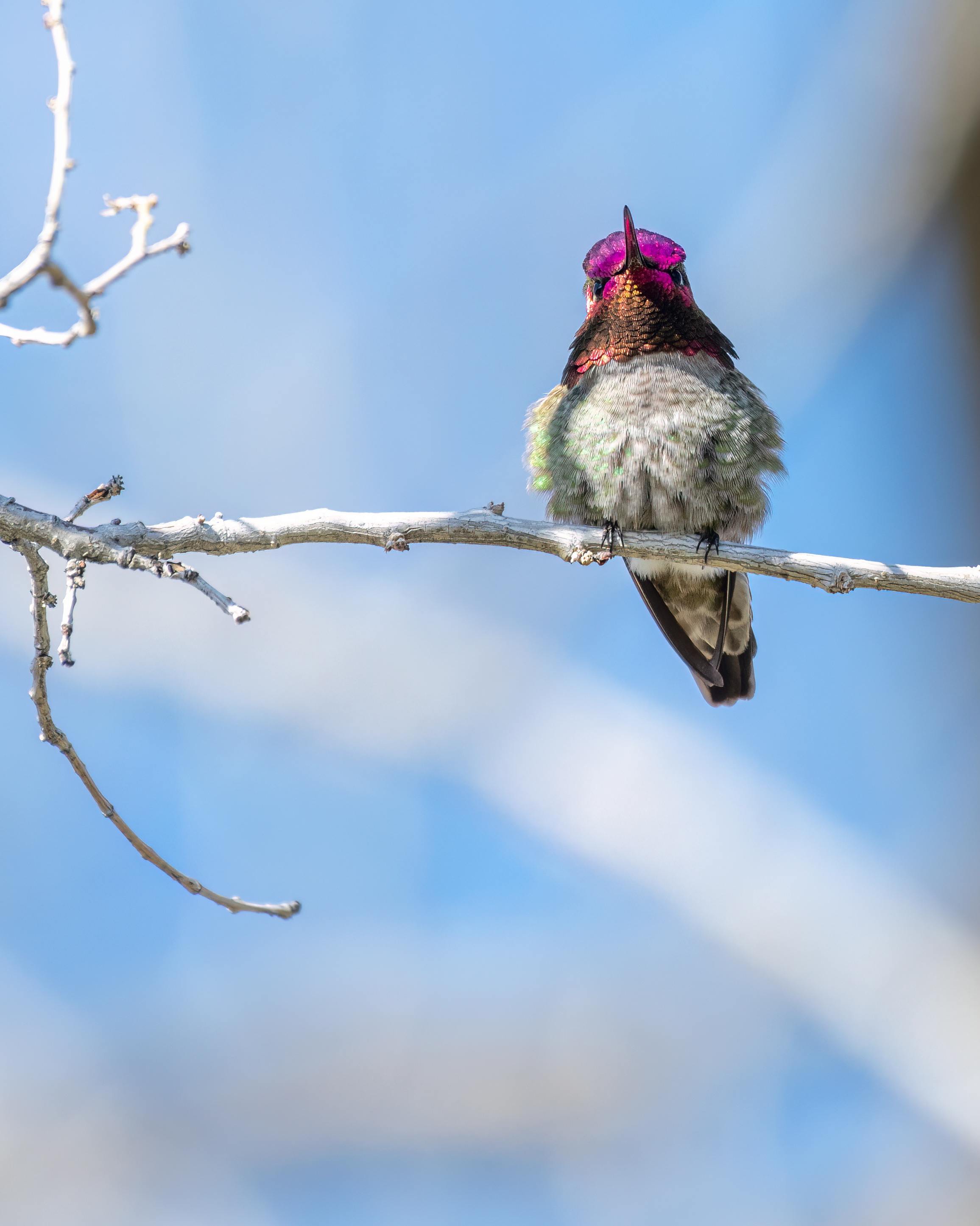 Anna Shvets Photos, Download The BEST Free Anna Shvets Stock Photos ...