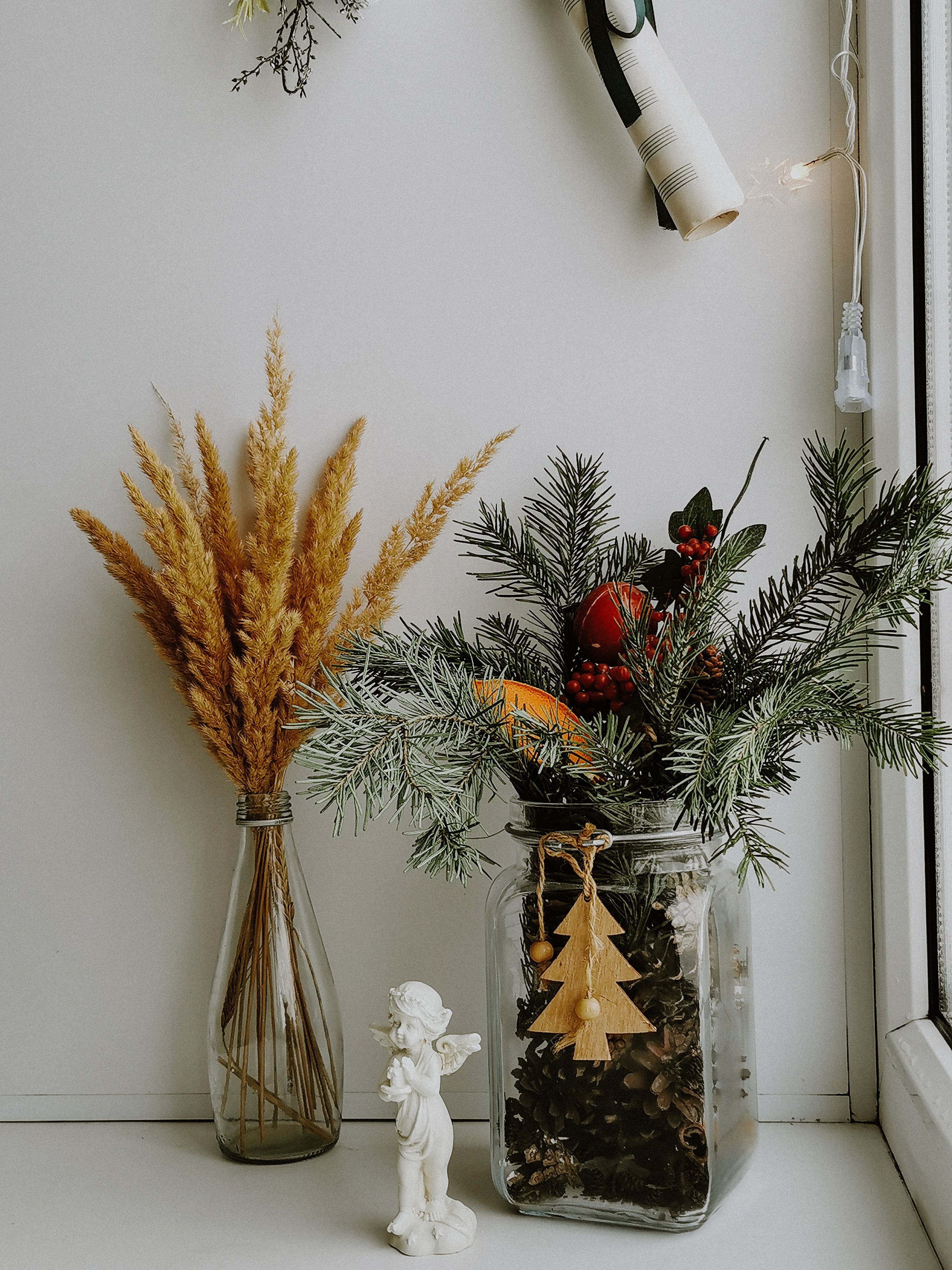 Decorative Twigs in a Glass Vase Standing on a Window Sill · Free Stock ...