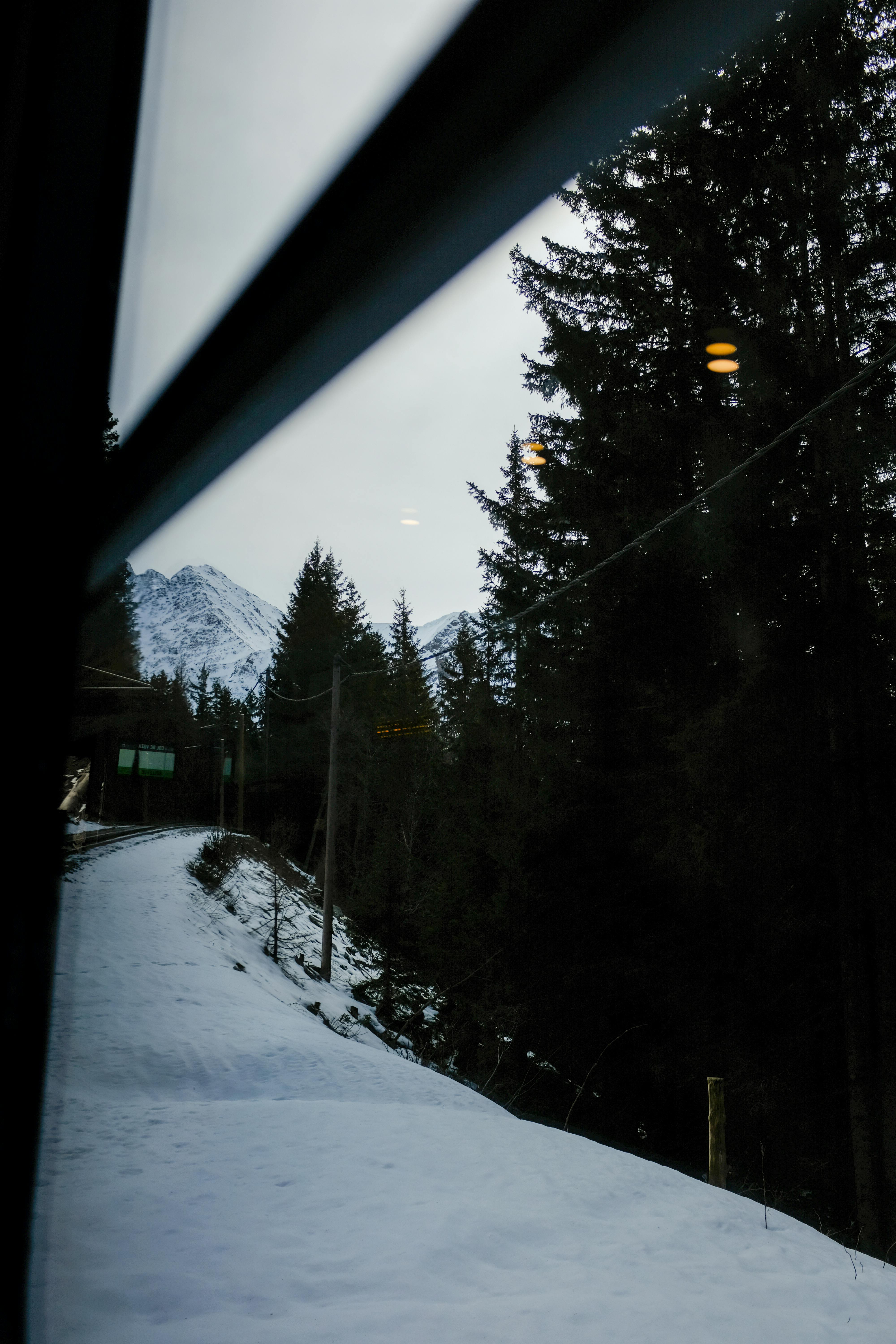 Trees in Snow behind Window · Free Stock Photo