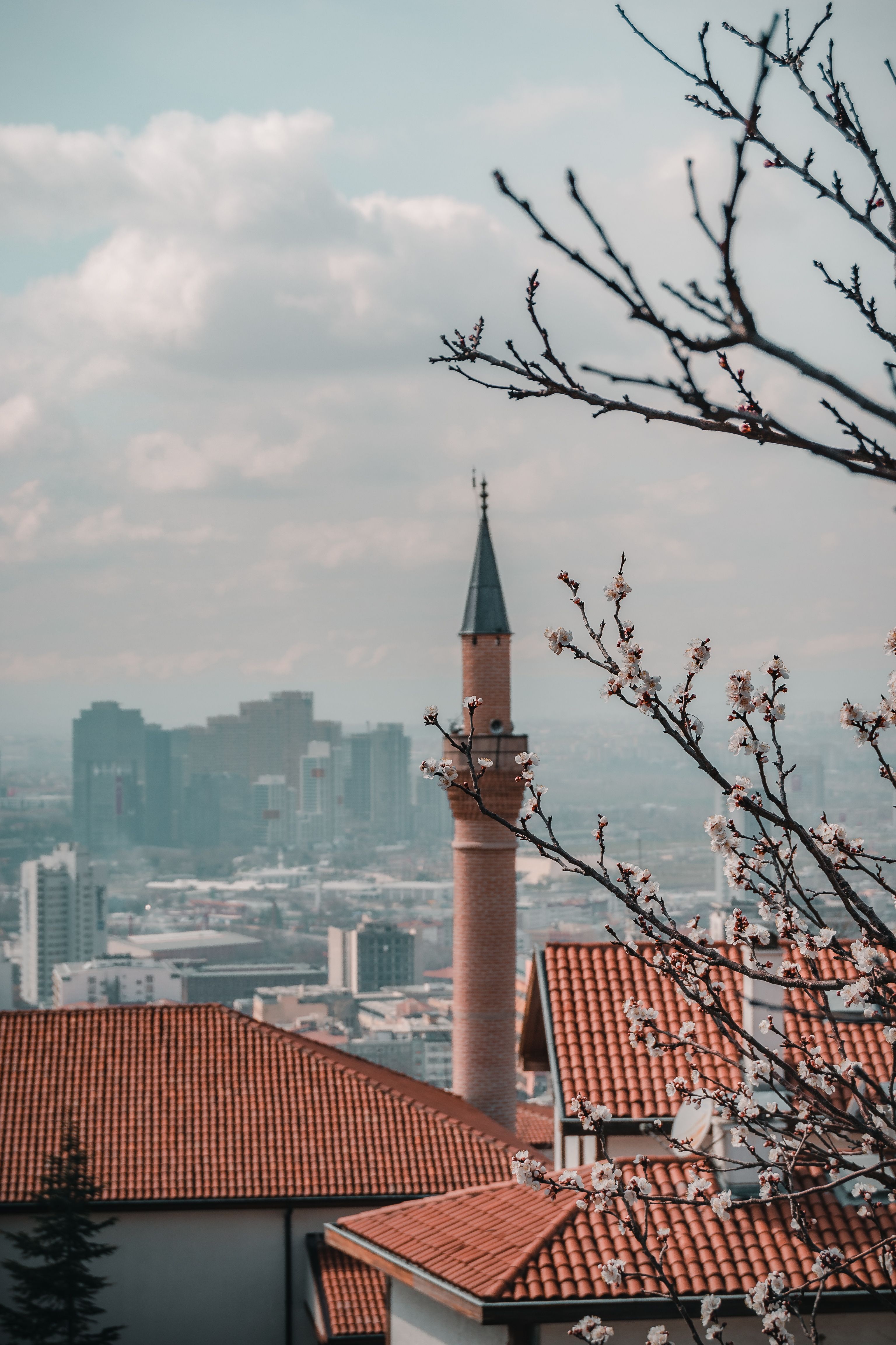 High Angle View on Roofs and a Tower · Free Stock Photo