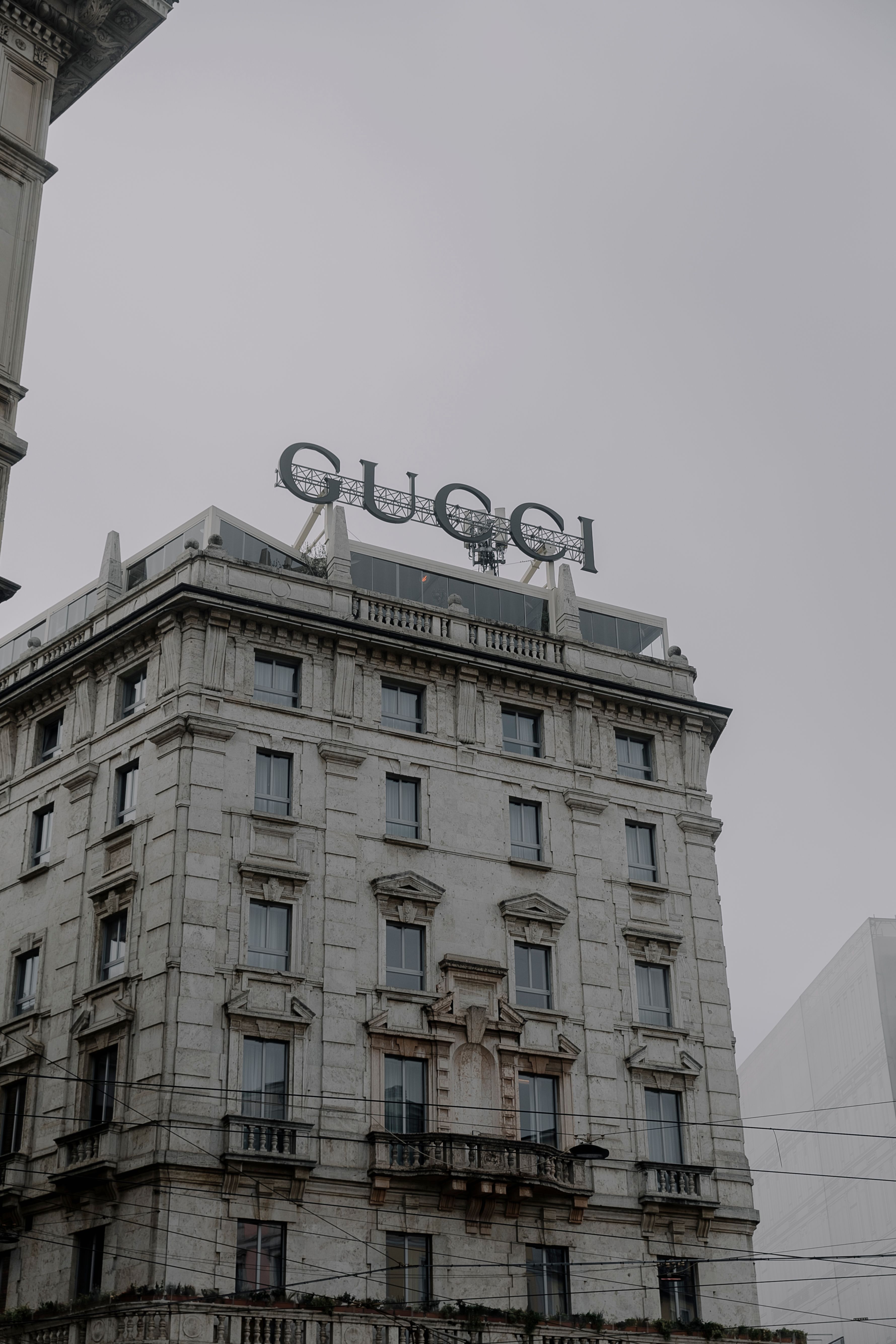 gucci · Free Stock Photo