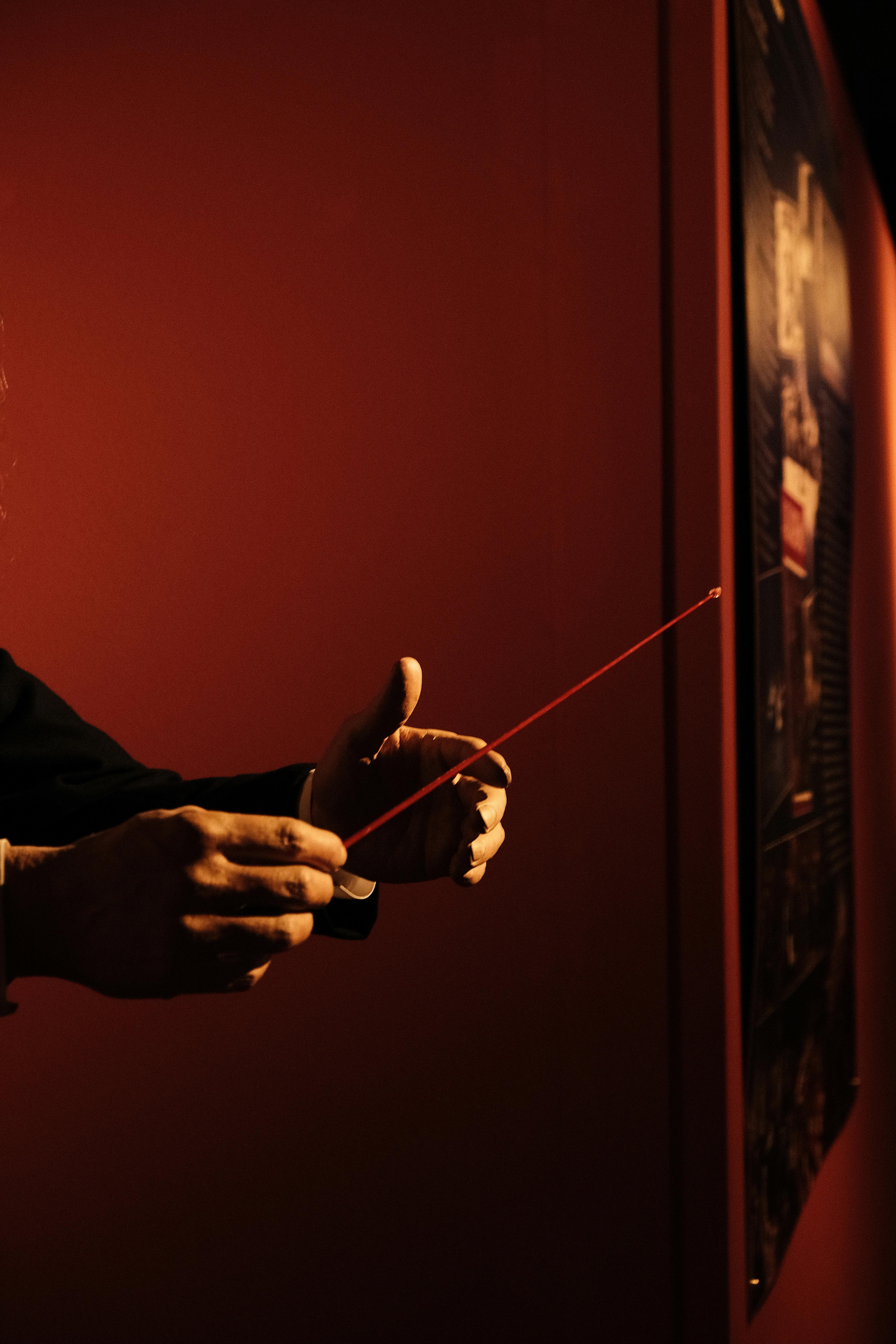 Red Pinter in a Hand · Free Stock Photo