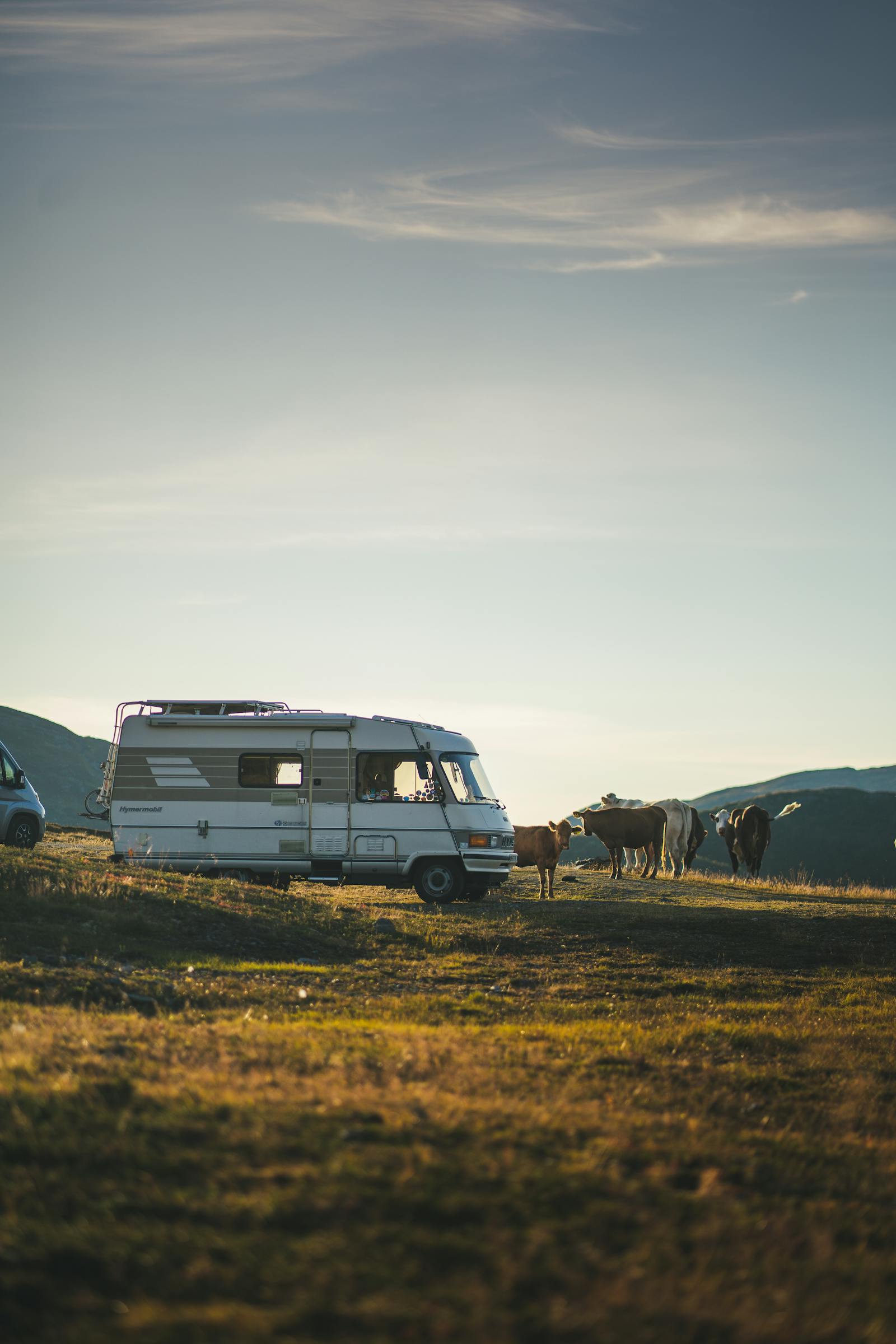 Campervan Photos, Download The BEST Free Campervan Stock Photos & HD Images