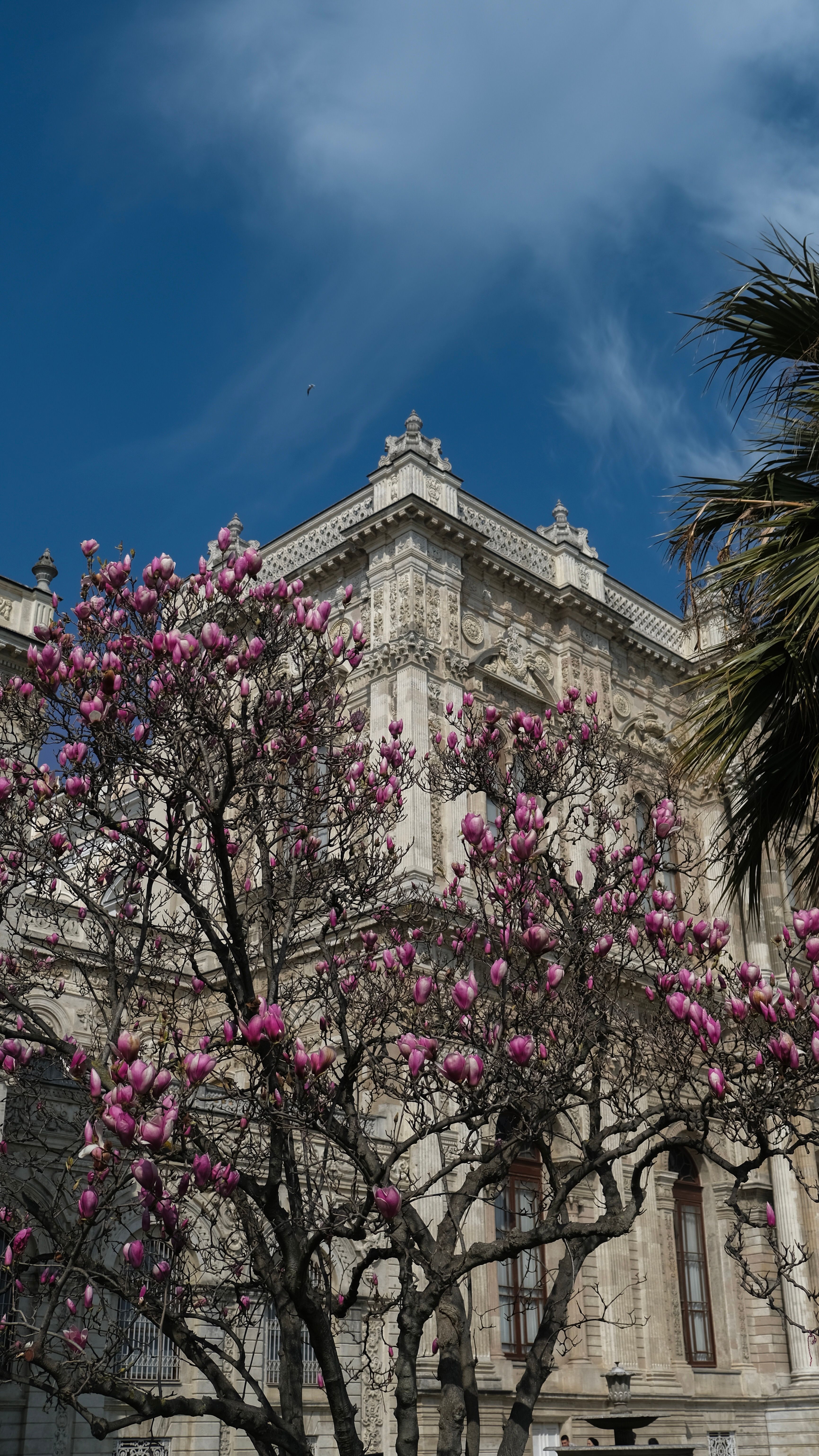 View of a Castle in Spring · Free Stock Photo