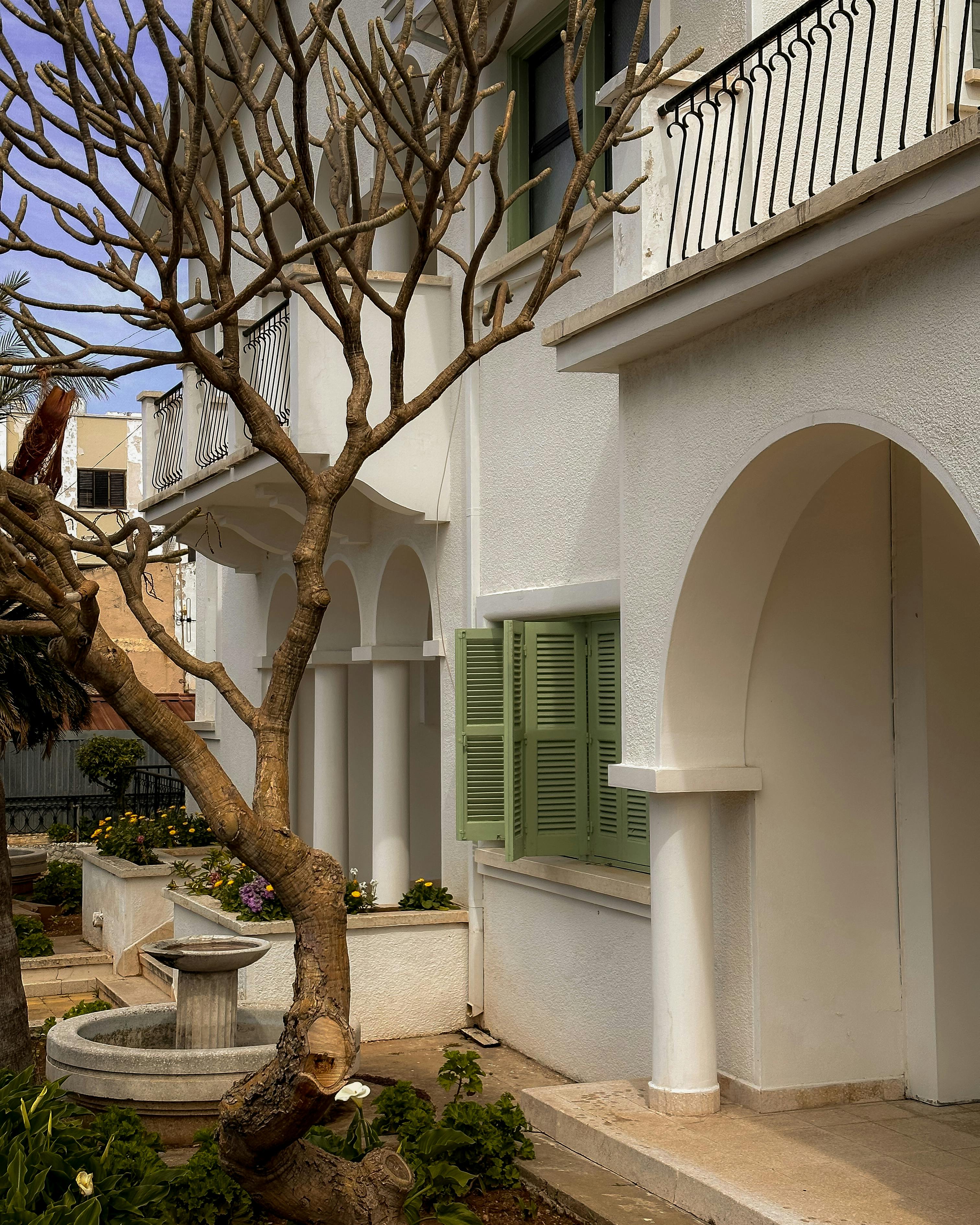 Foto de stock gratuita sobre acera, al aire libre, árbol, arcos ...