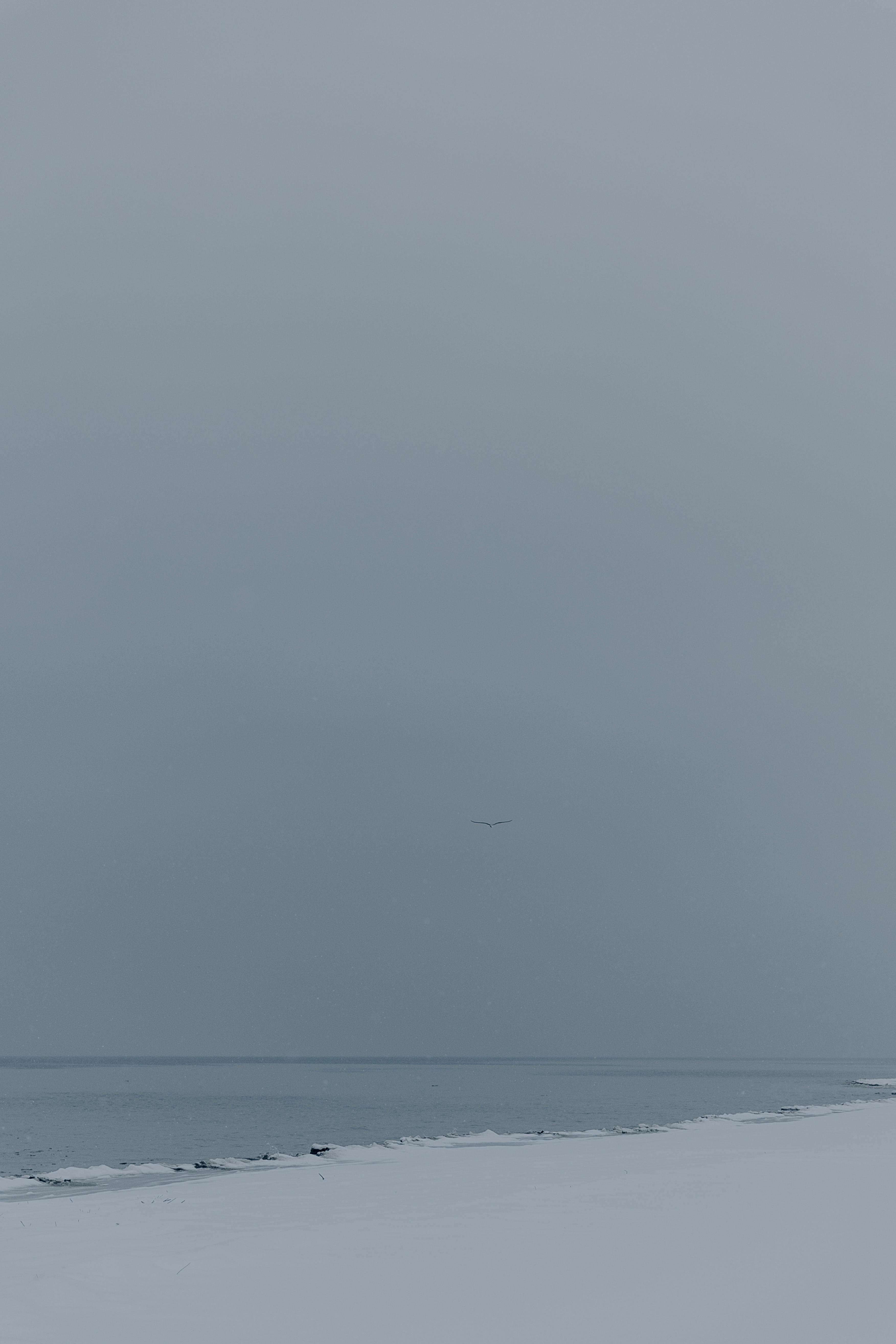 Snow Covered Ground Field · Free Stock Photo