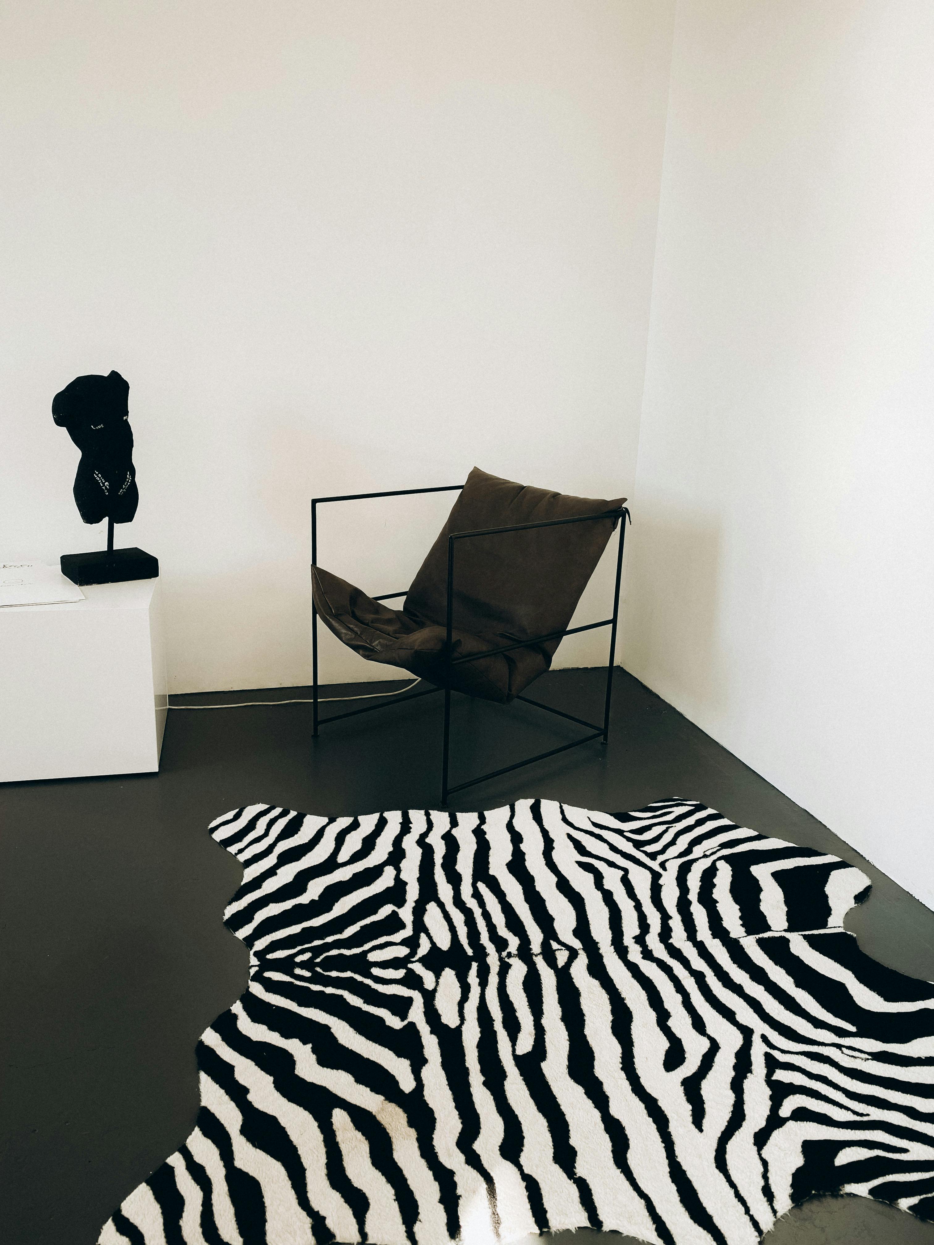 A Minimalist, Modern Interior with an Armchair and a Rug with Zebra ...
