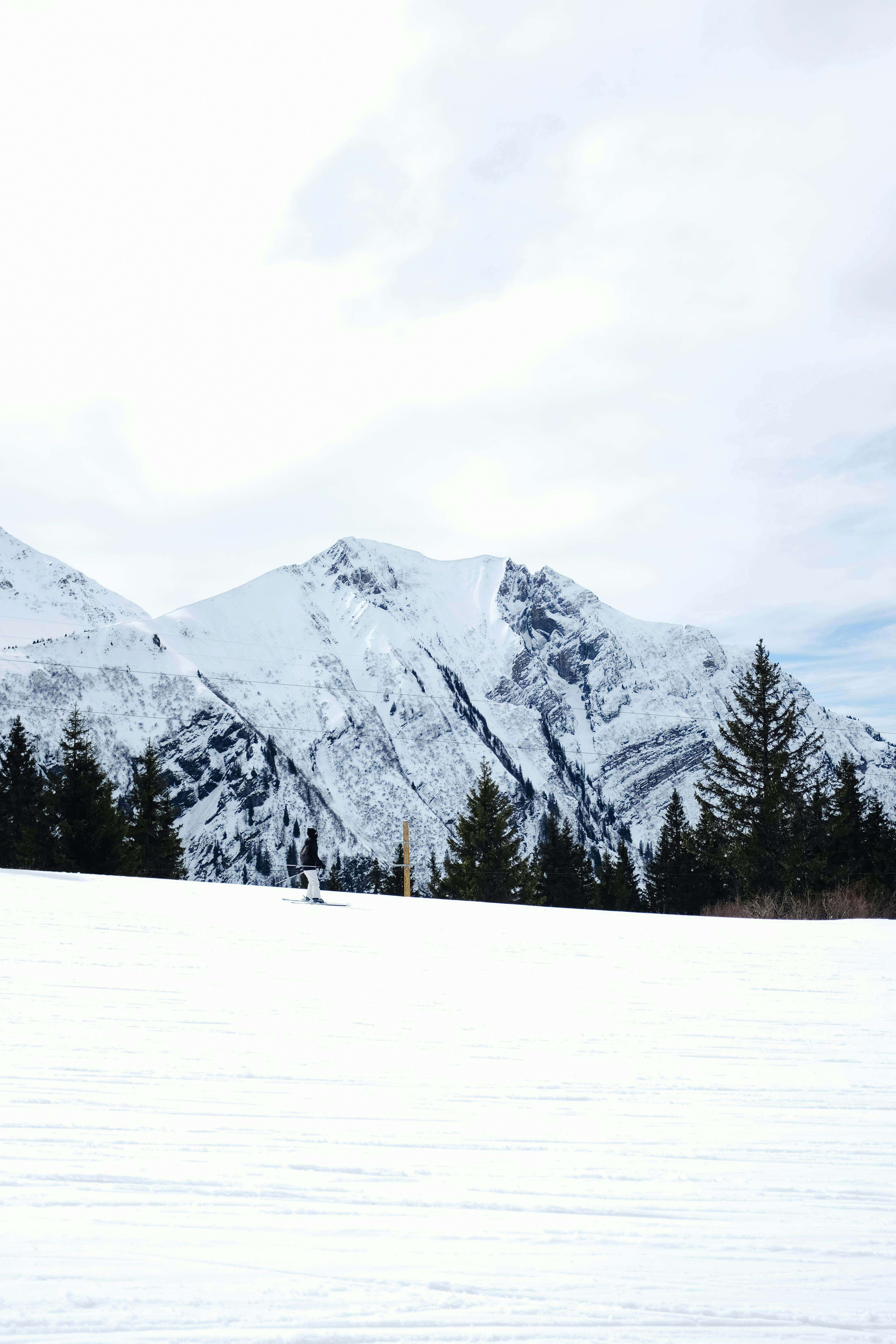 Overcast over Single Tree on Plains · Free Stock Photo