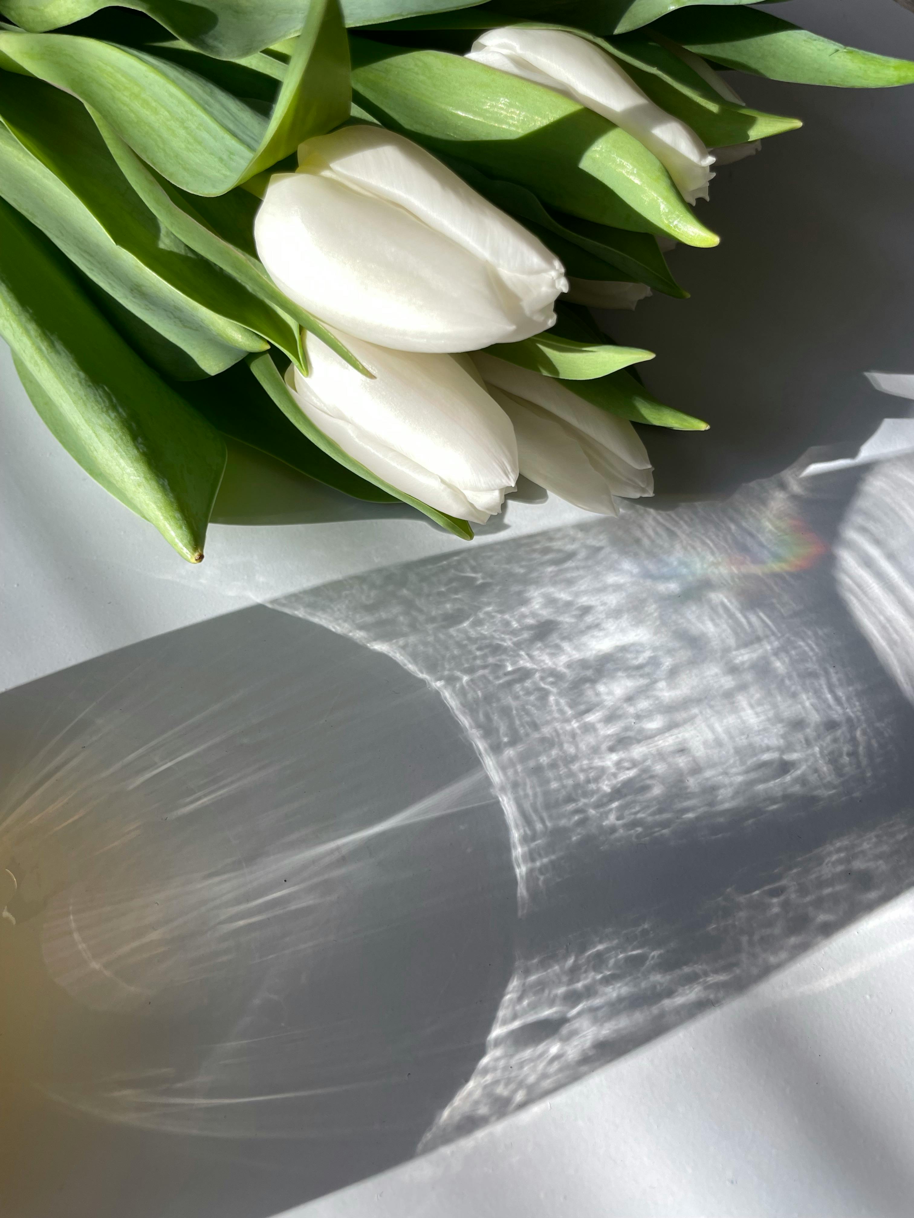 Bouquet of Tulips on Shelf · Free Stock Photo