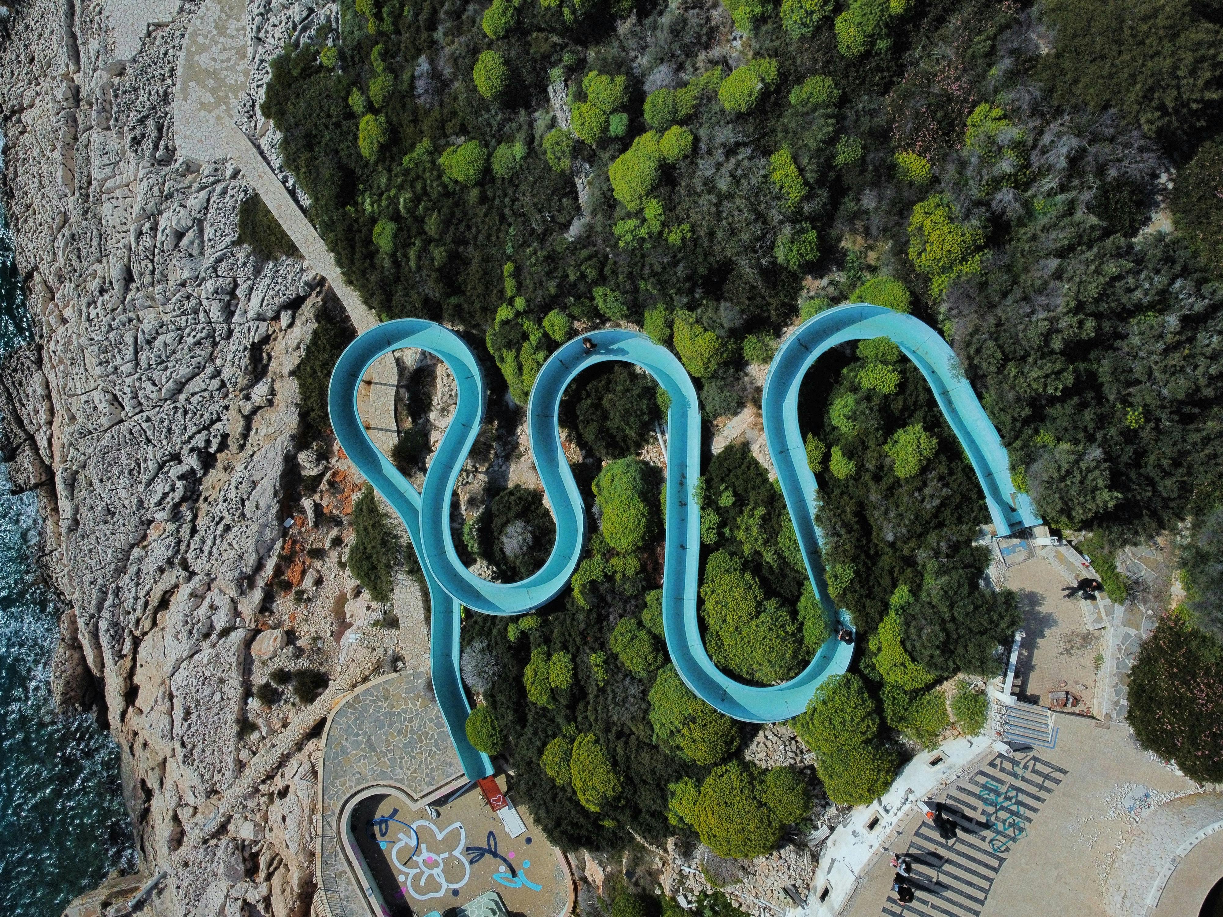 Slide Forest Photos, Download The BEST Free Slide Forest Stock Photos ...