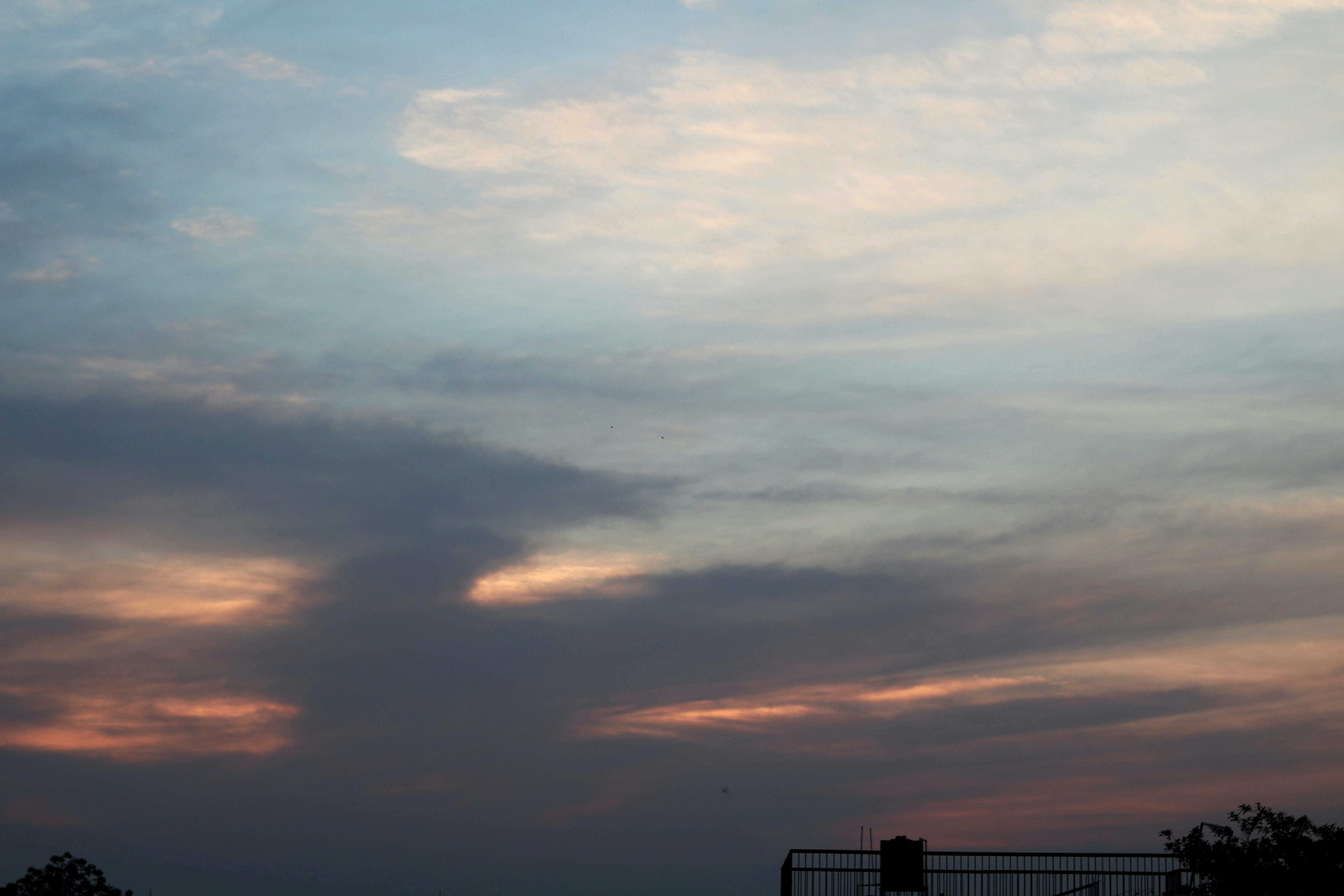 Disha Sheta - Photography