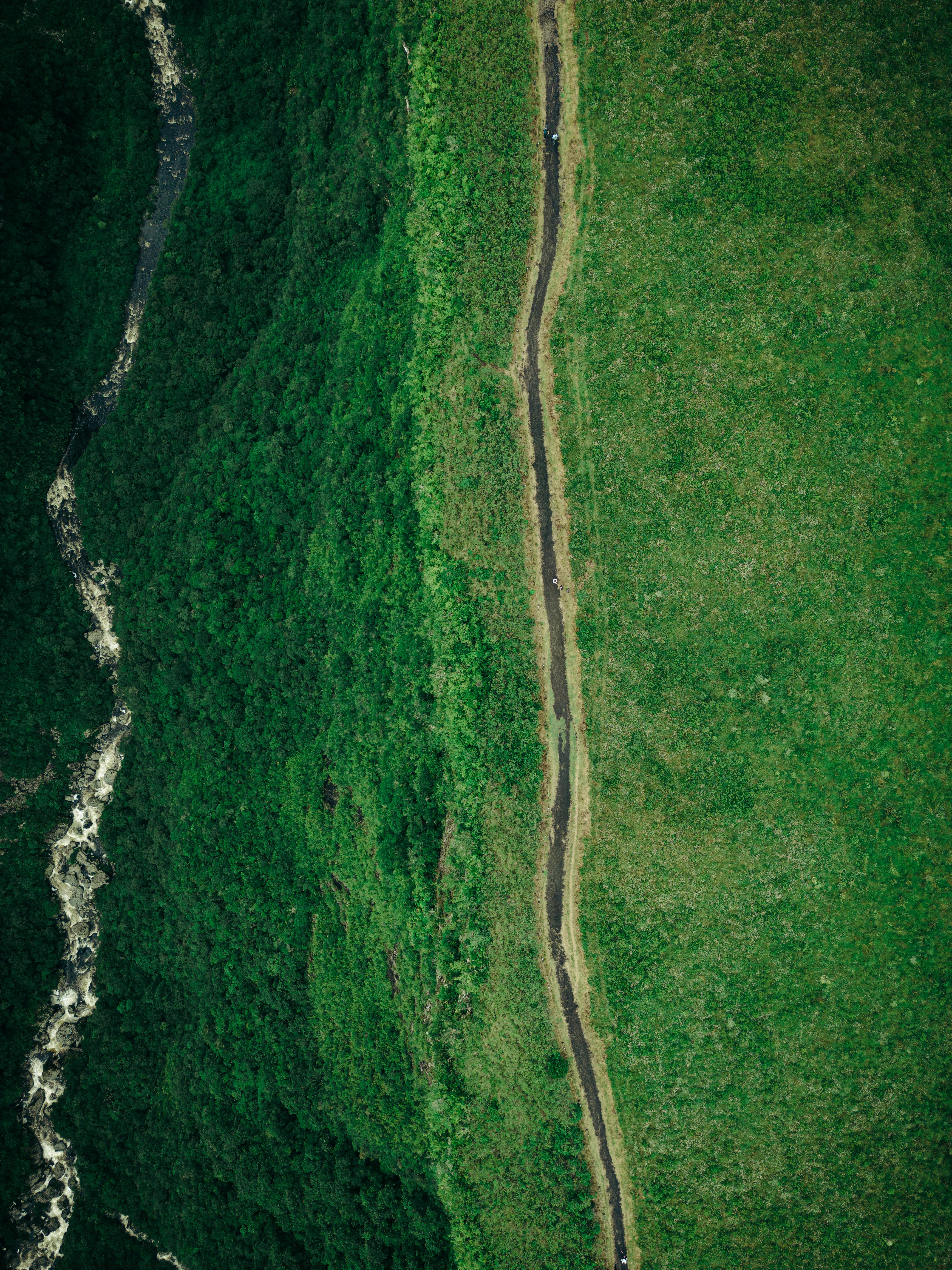 Birds Eye View of Green Plains · Free Stock Photo