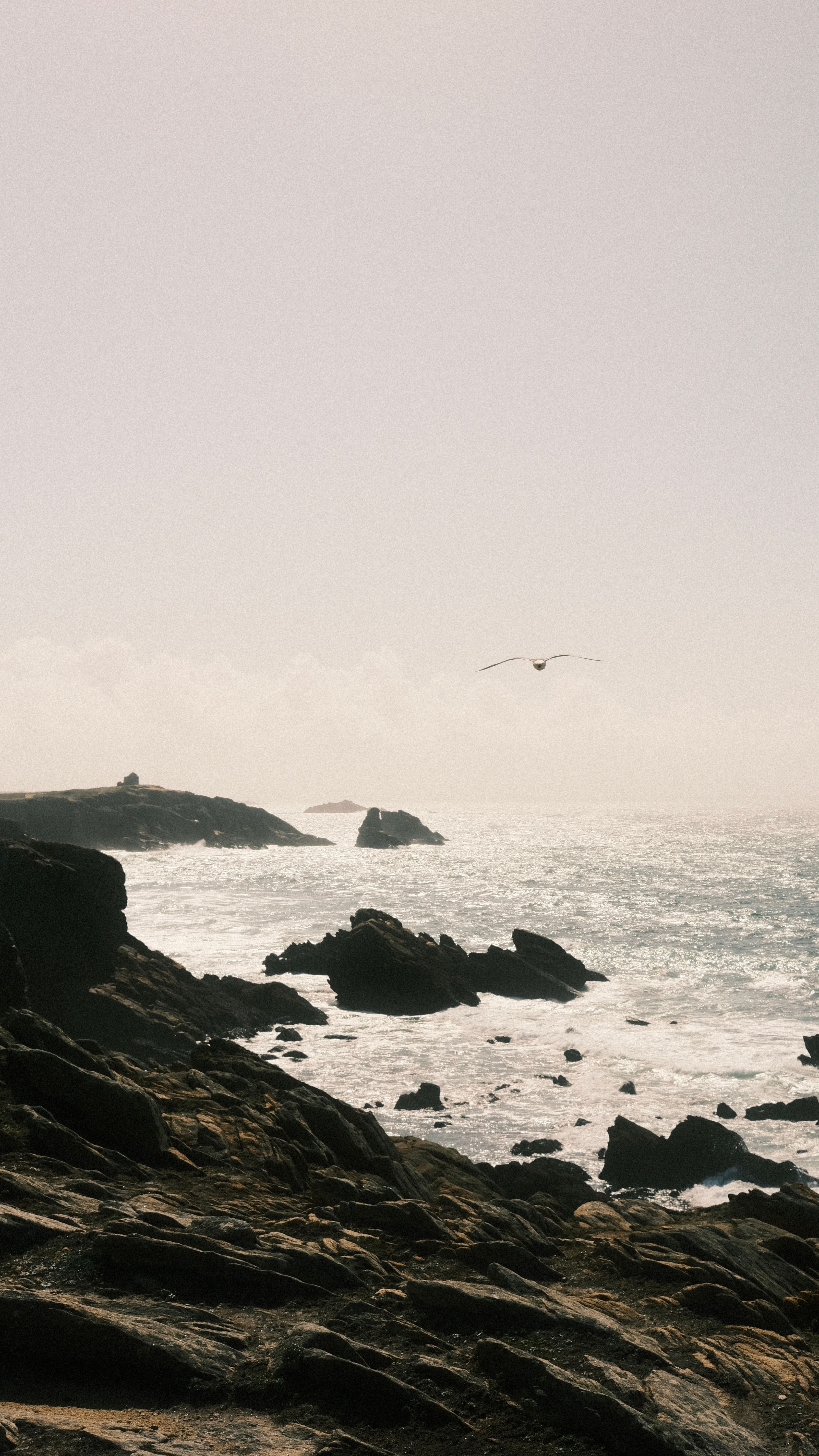 Birds Flying and Vessel Sailing near Rocks in Snow on Sea Shore · Free ...