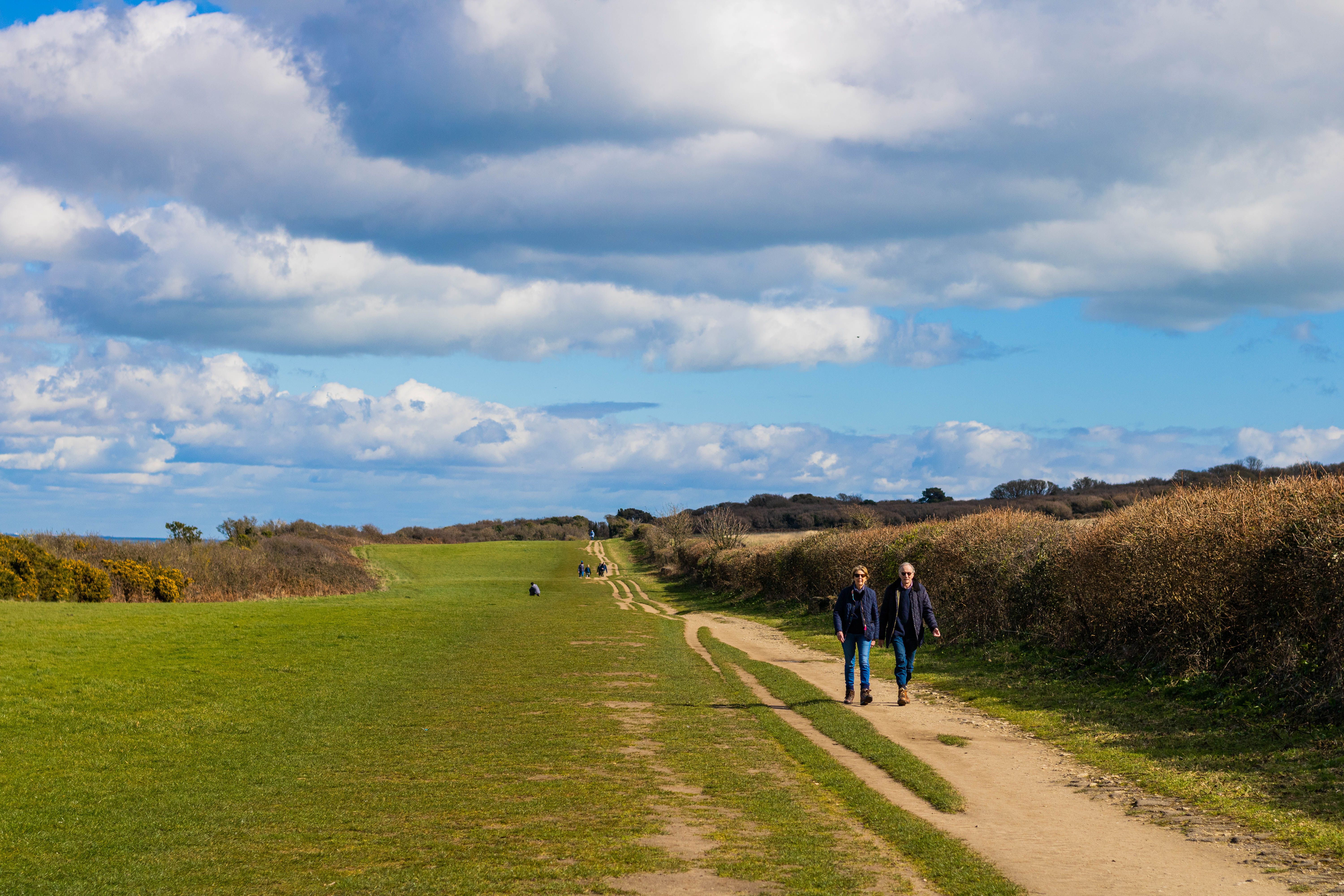 People Walking along the Path on the Field · Free Stock Photo