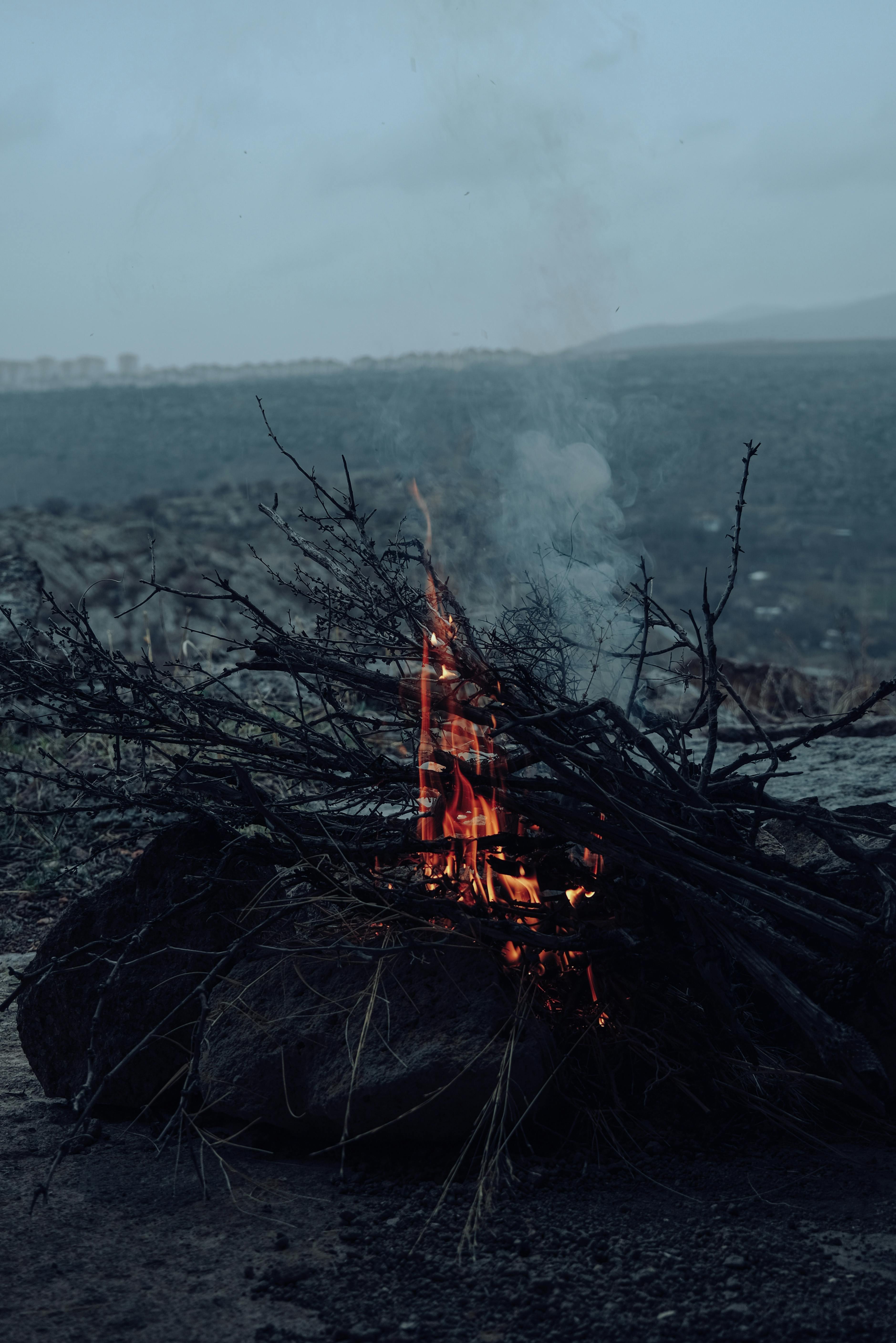 Freepik Photos, Download The BEST Free Freepik Stock Photos & HD Images