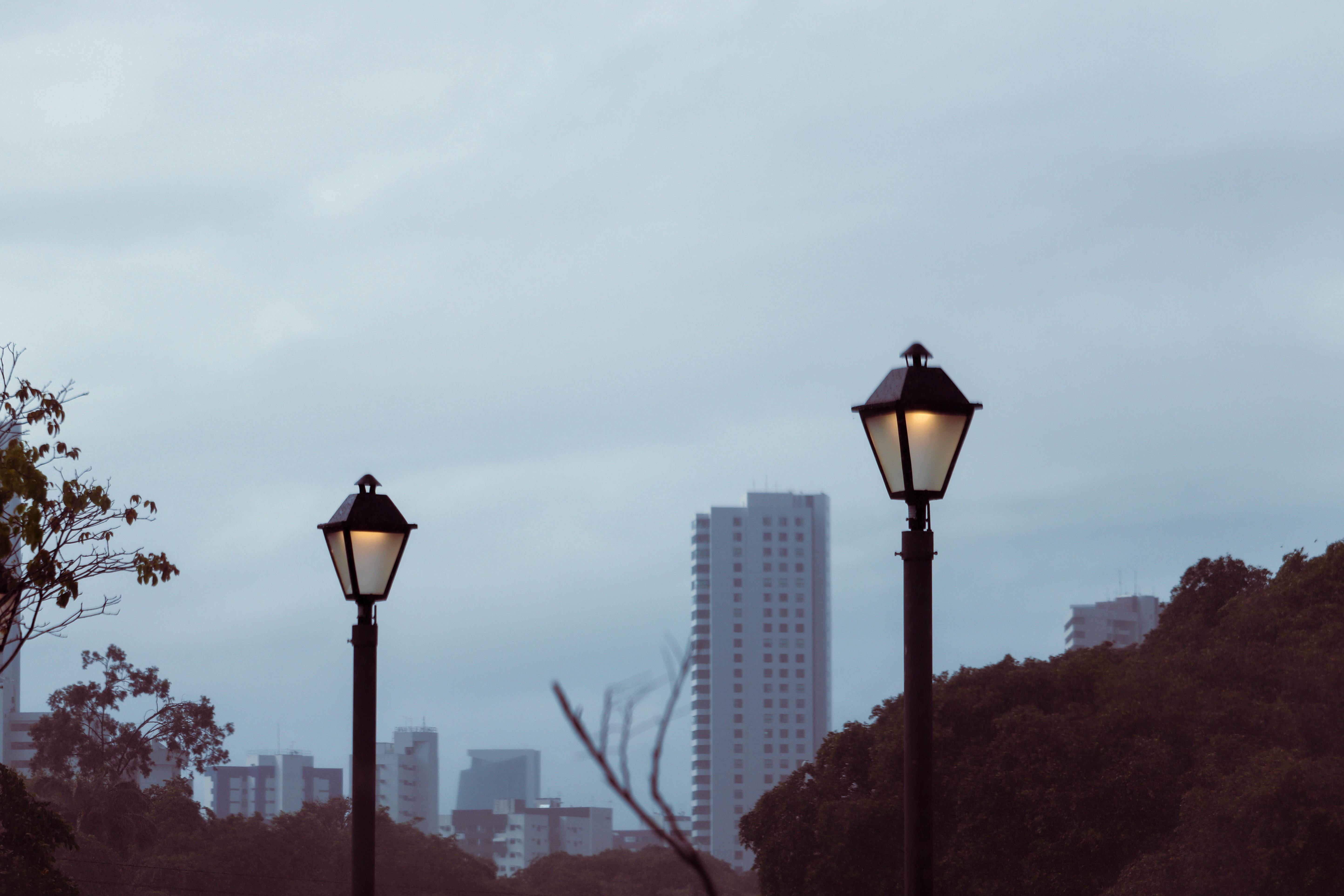 View of Streetlamps in a Park and Skyscrapers in the Background · Free ...