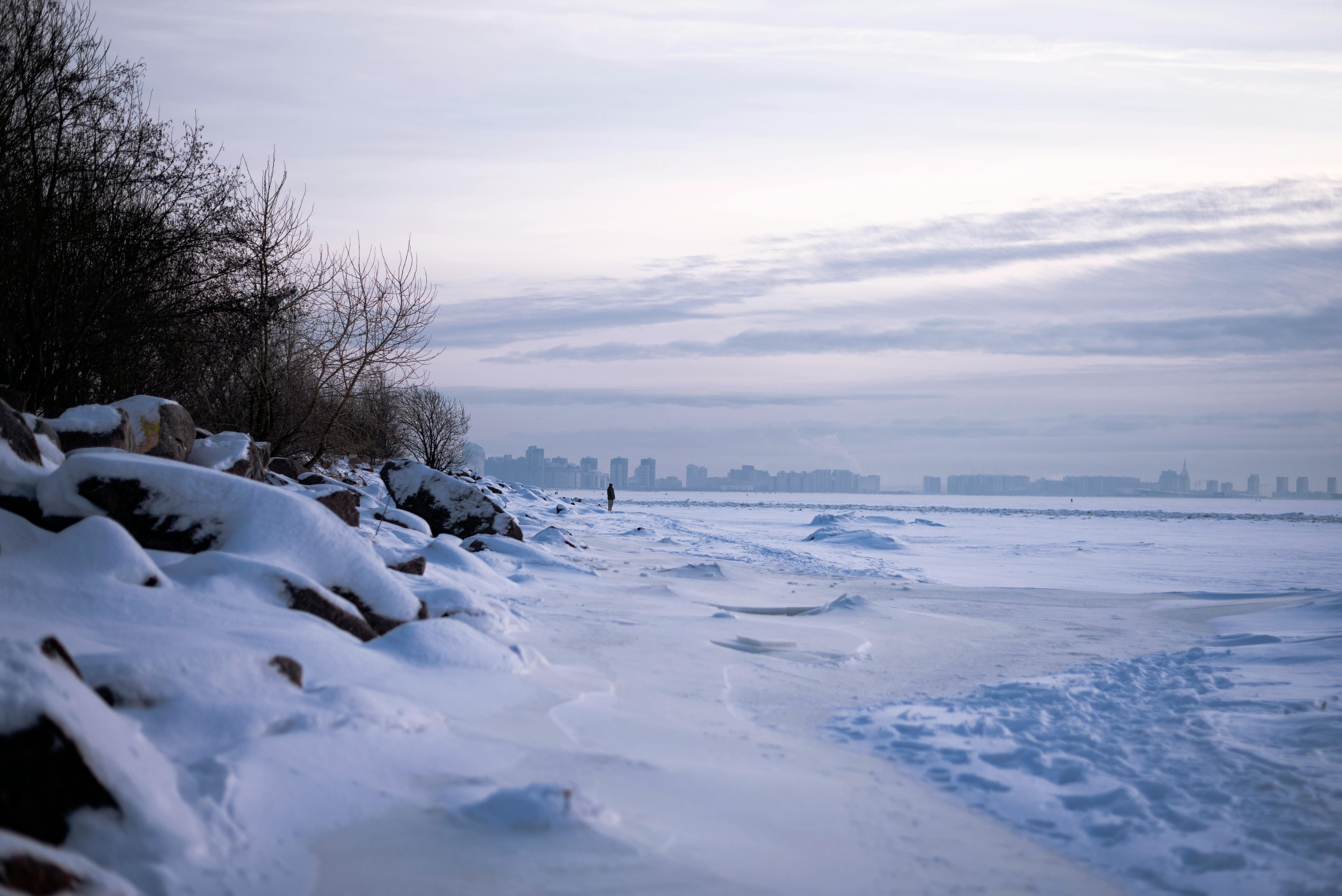 Frozen Beach in Winter · Free Stock Photo
