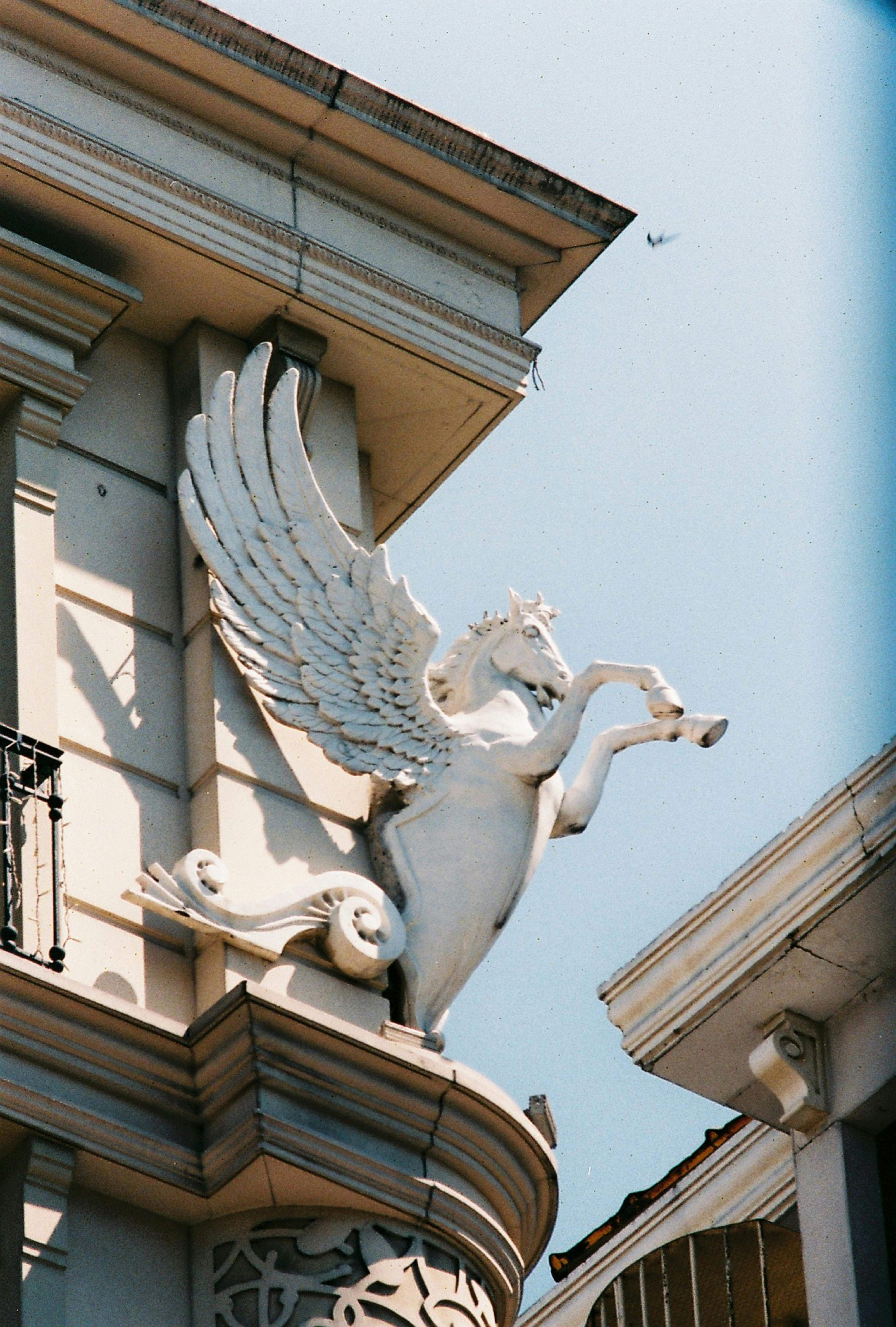 Building Corner with a Pegasus Architectural Detail · Free Stock Photo