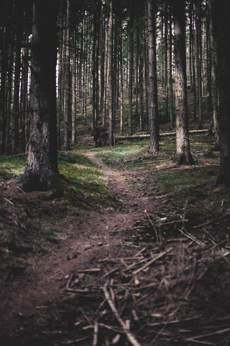 Split Pathway Photos, Download The BEST Free Split Pathway Stock Photos ...