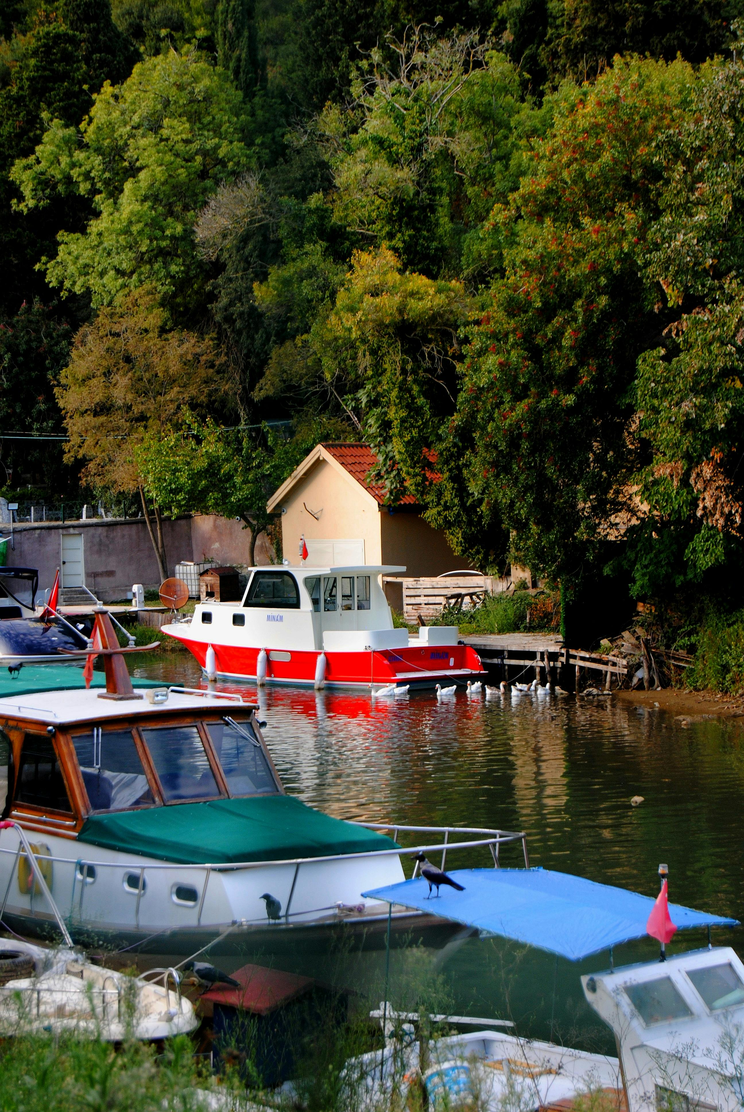 Deck Barges Photos, Download The BEST Free Deck Barges Stock Photos ...